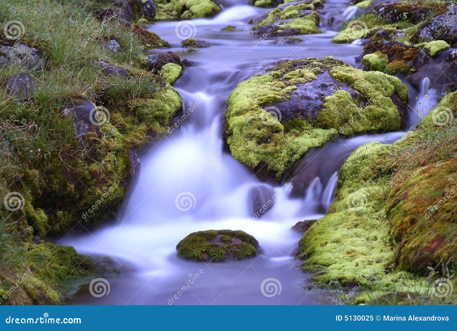 Brook at night stock image. Image of night, tender, grass - 5130025