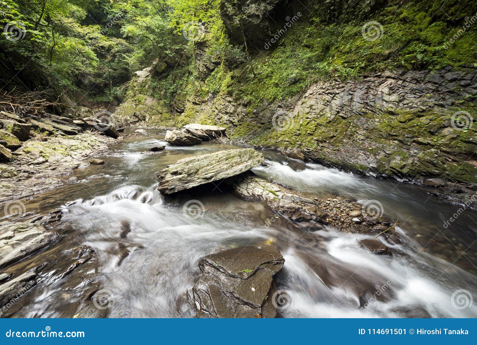 Brook on rock mass stock image. Image of stream, creek - 114691501