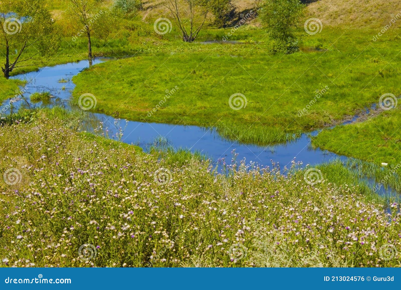 Brook is Running Over Meadow Stock Photo - Image of clean, holiday ...