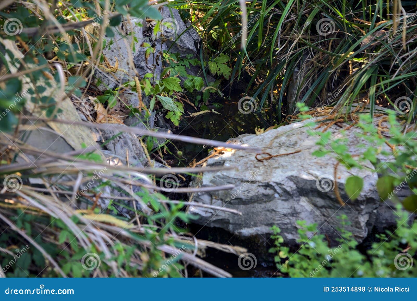 Brook in the Shade Bordered by Rocks and Plants in a Park Stock Photo ...