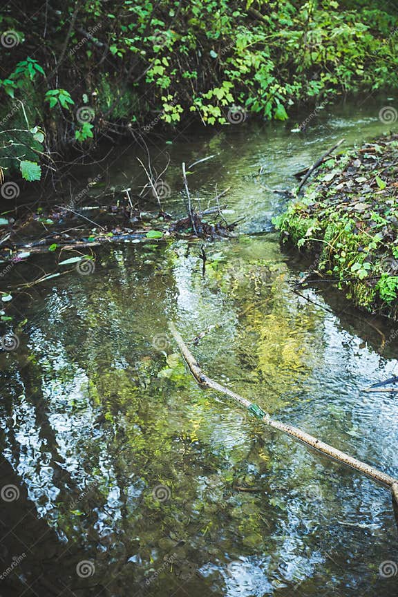Brook small river stock image. Image of flora, outdoors - 103582007