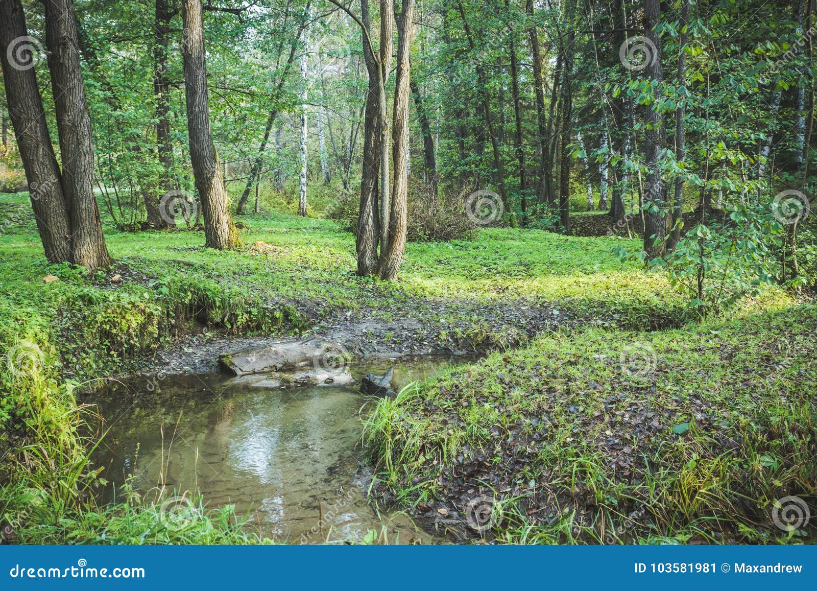 Brook small river stock image. Image of green, landscape - 103581981