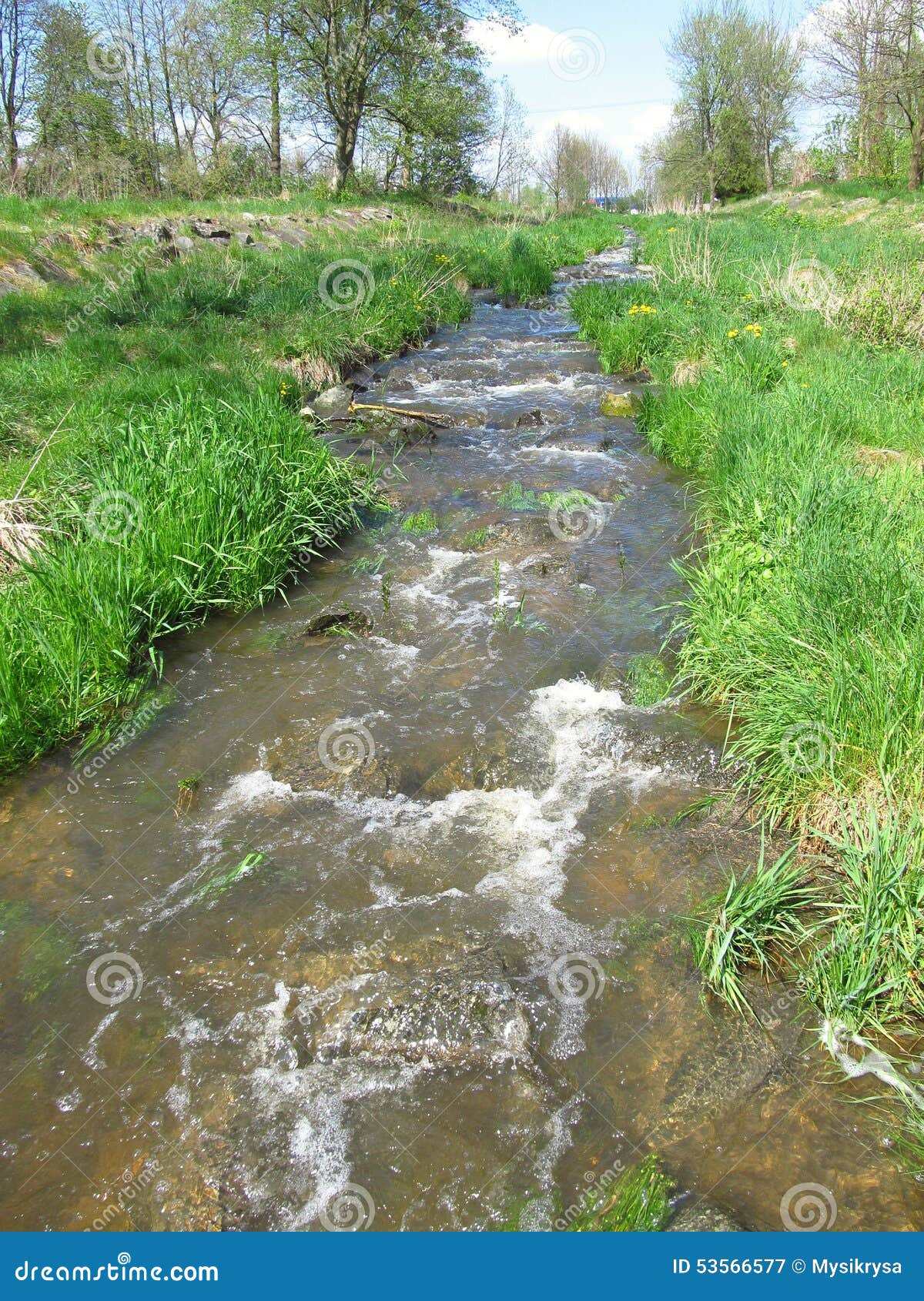 Brook in spring stock image. Image of environment, stream - 53566577