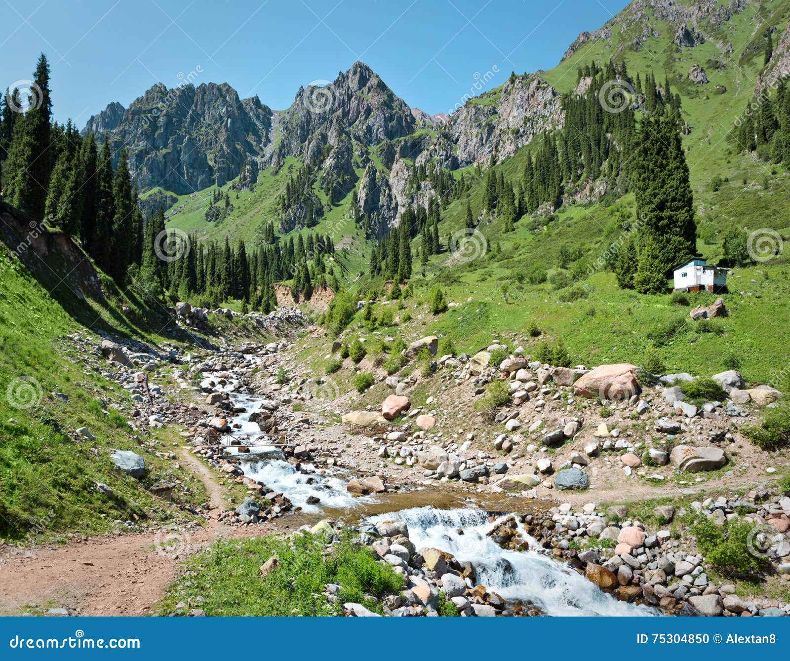 Brook Stream Water Nature Summer Mountains Central Asia Stock Photo ...