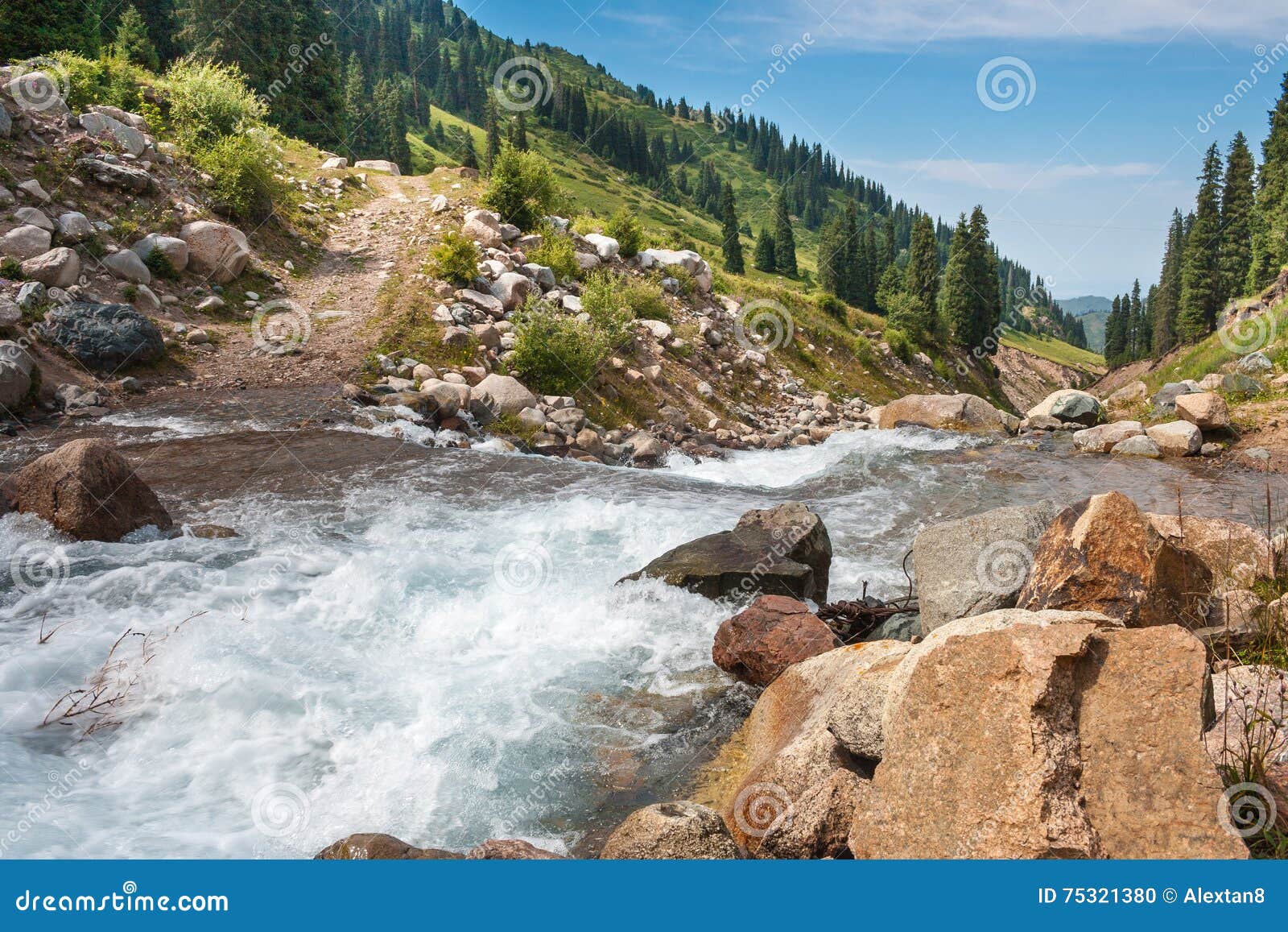 Brook Stream Water Nature Summer Mountains Central Asia Stock Photo ...
