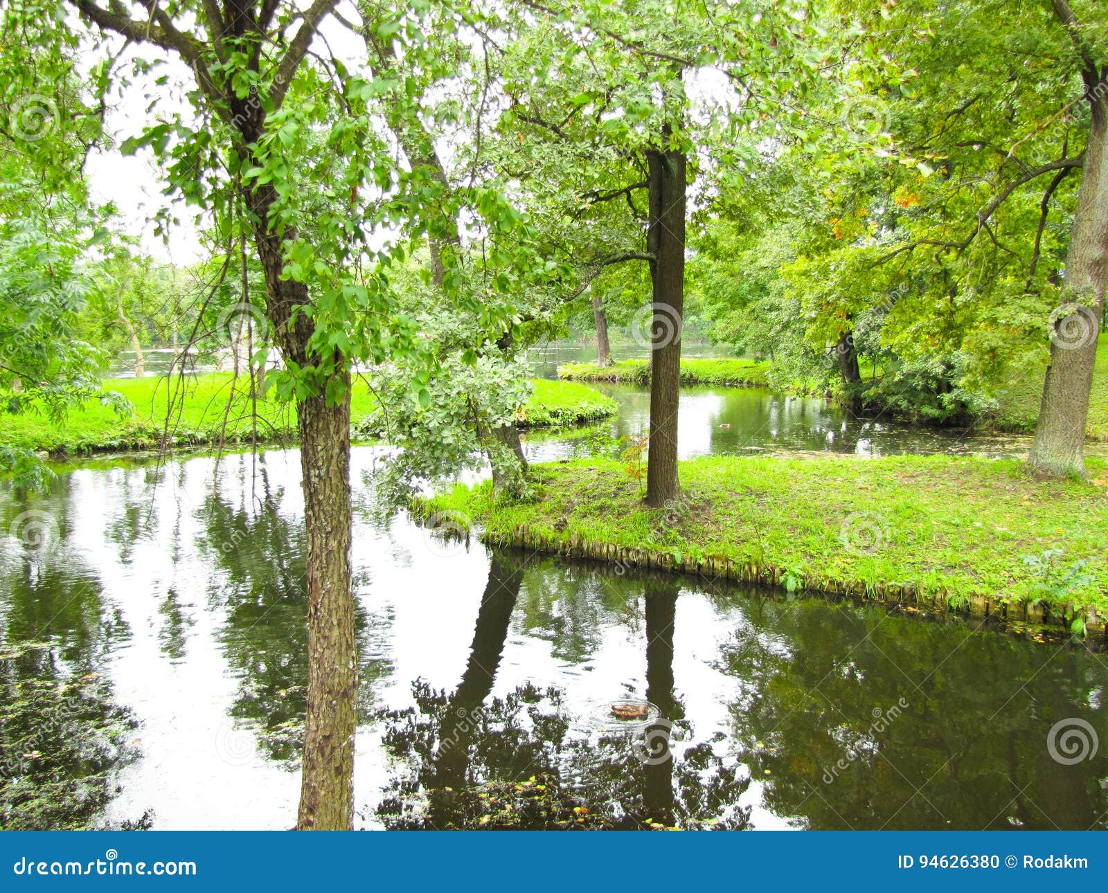 Brook among the trees stock photo. Image of ecology, landscape - 94626380