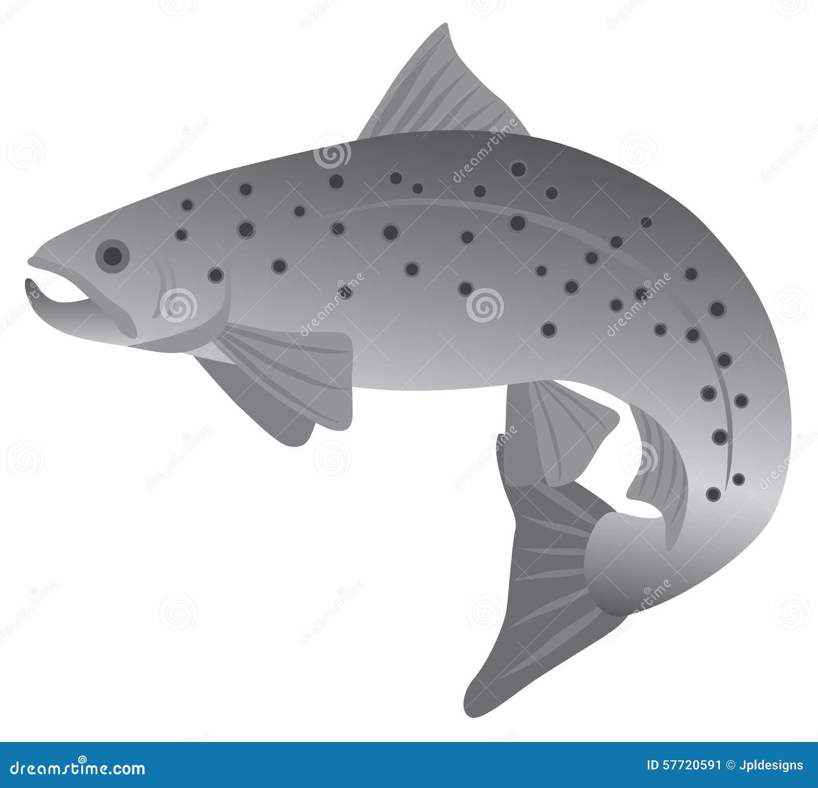 Brook Trout Grayscale Vector Illustration Stock Vector - Illustration ...