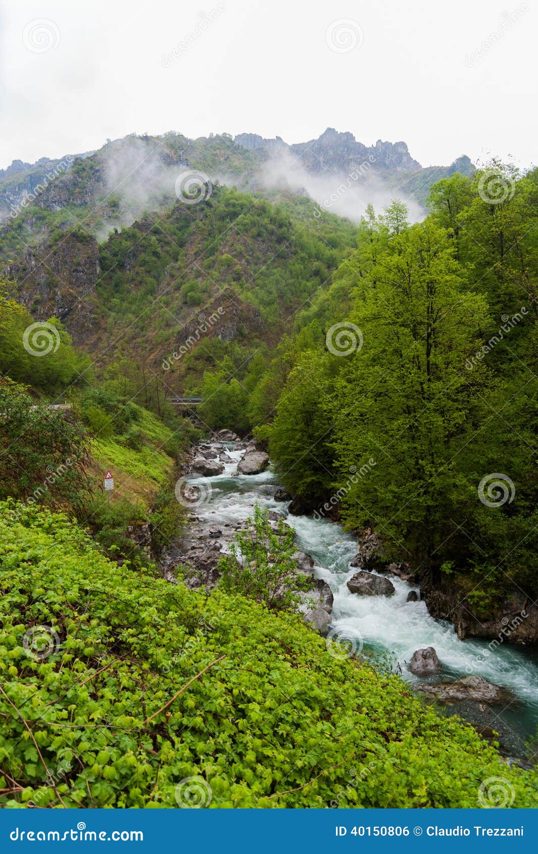 Brook stock photo. Image of nature, brook, trees, colors - 40150806