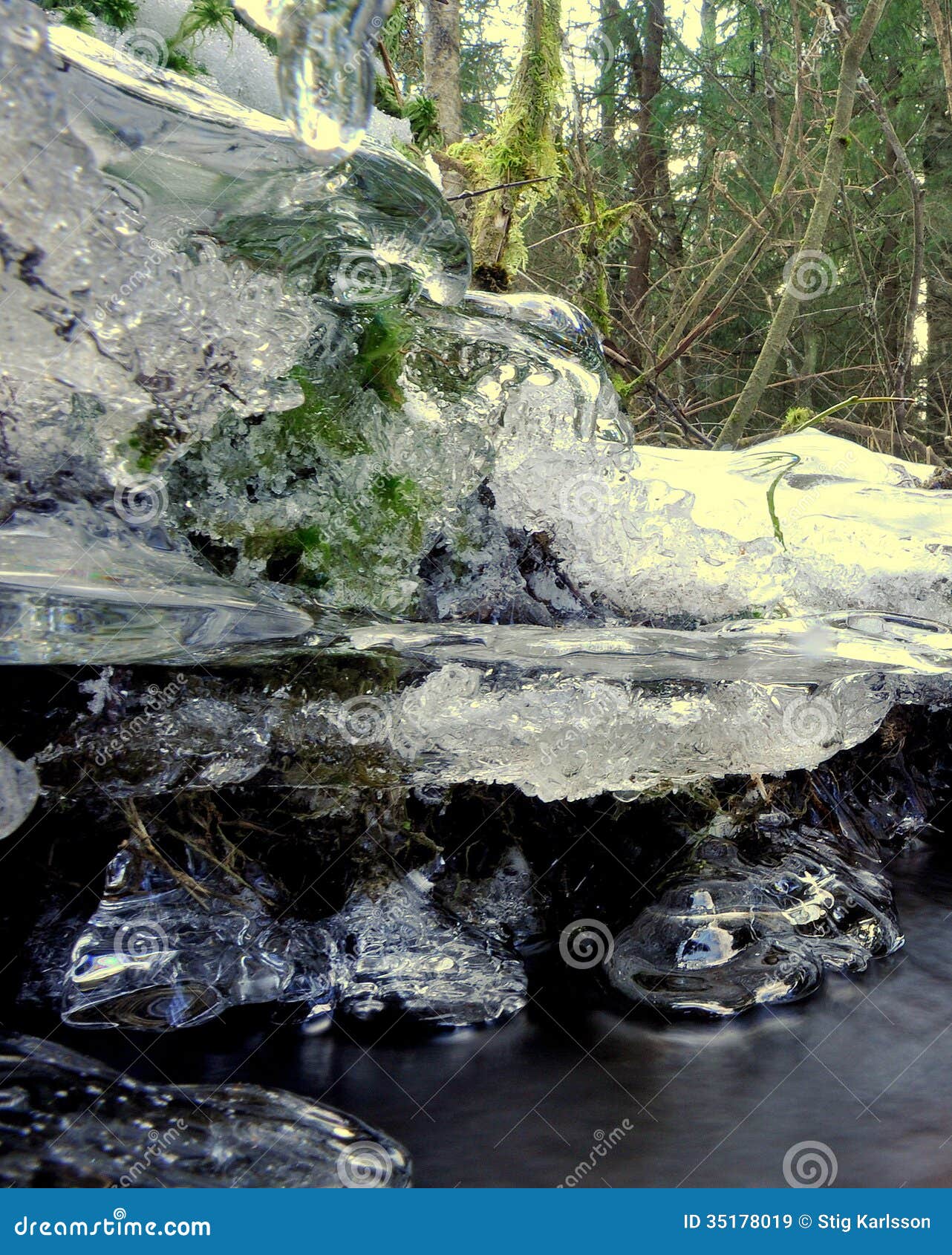 Brook in the Winter Forest 4 Stock Image - Image of trees, stillness ...