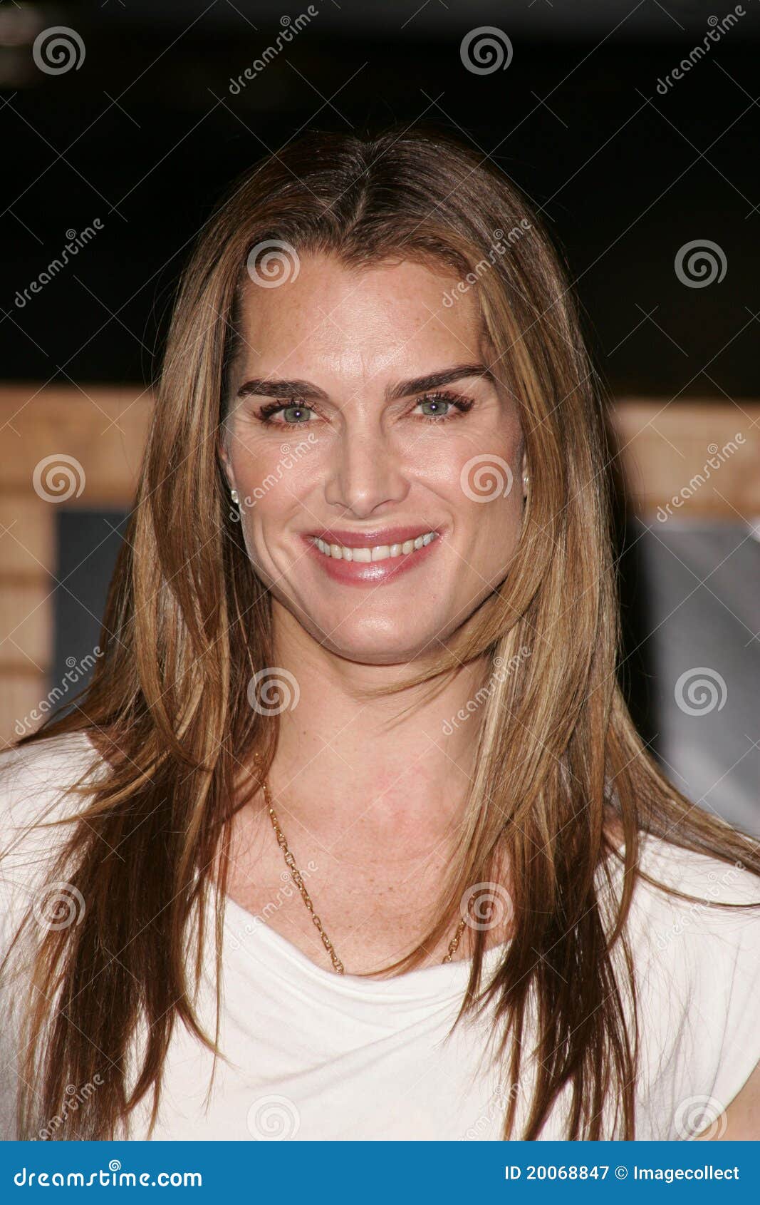 Brooke Shields fotografía editorial. Imagen de almacén - 20068847