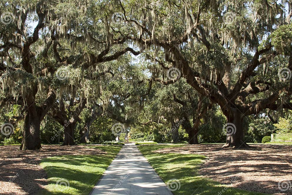 Brookgreen Gardens Path stock photo. Image of concrete - 15957956