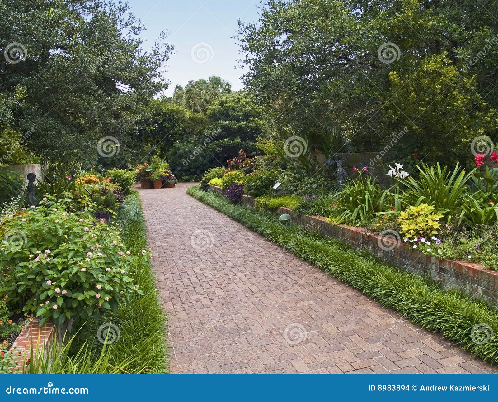 Brookgreen Pathway stock photo. Image of sidewalk, travel - 8983894
