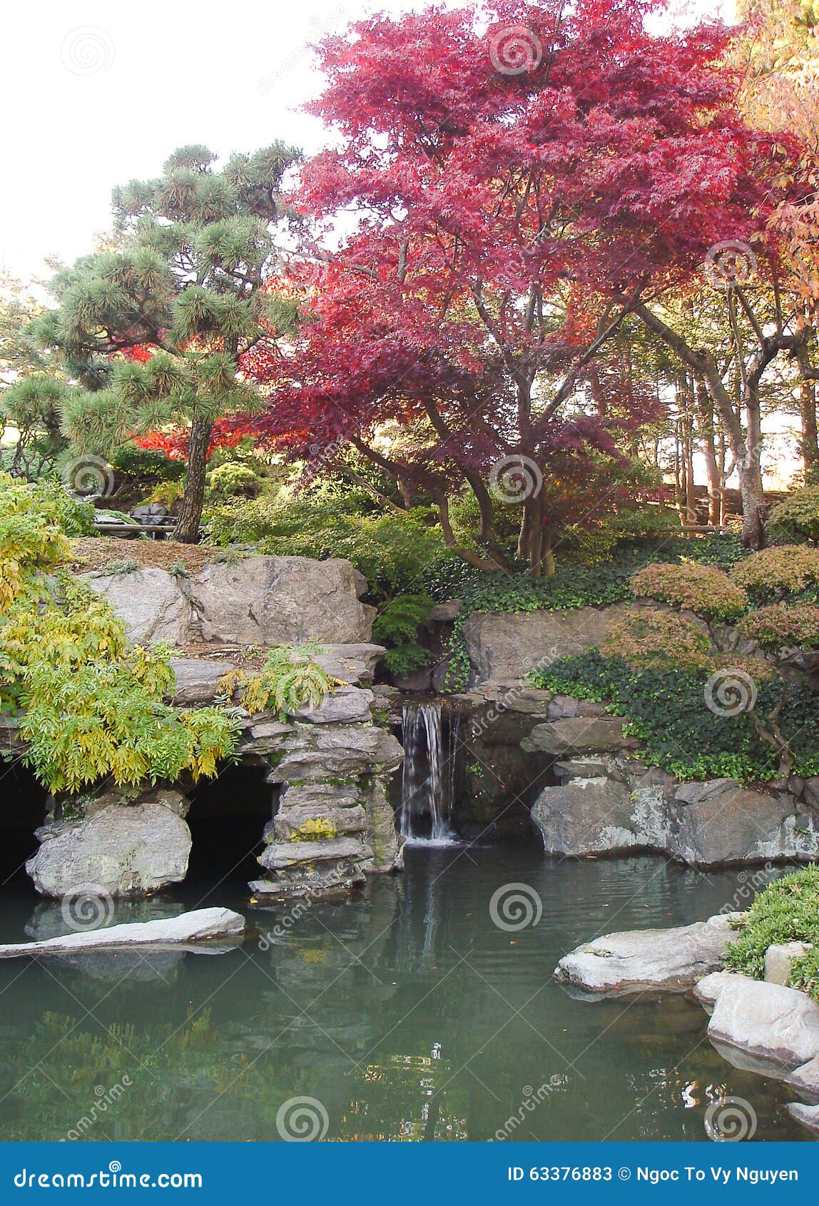 Brooklyn Botanical Garden during Fall Stock Image - Image of travel ...