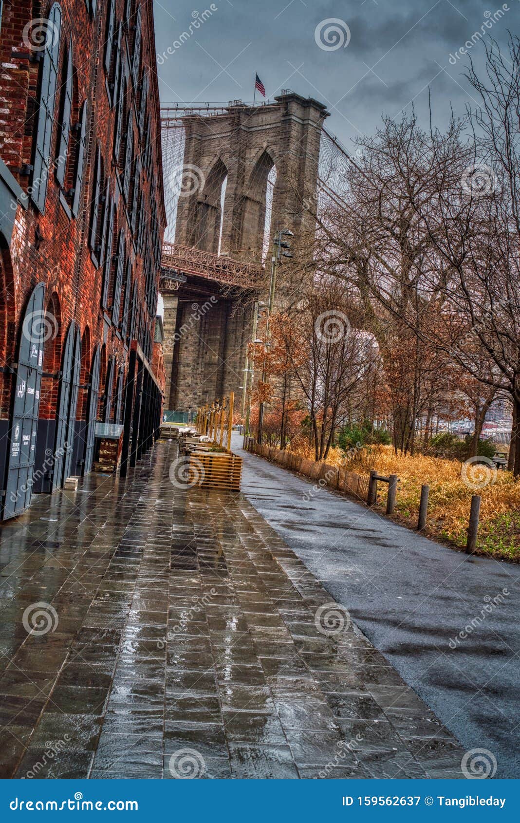 Brooklyn Bridge after a Rainfall, Detailed Reflections Stock Image ...