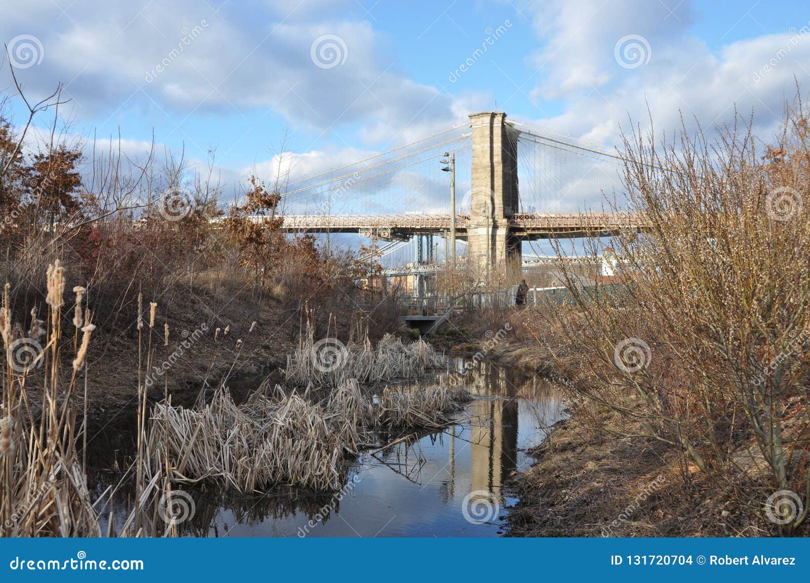 The Brooklyn Bridge Reflects Off a Large Puddle. Stock Photo - Image of ...