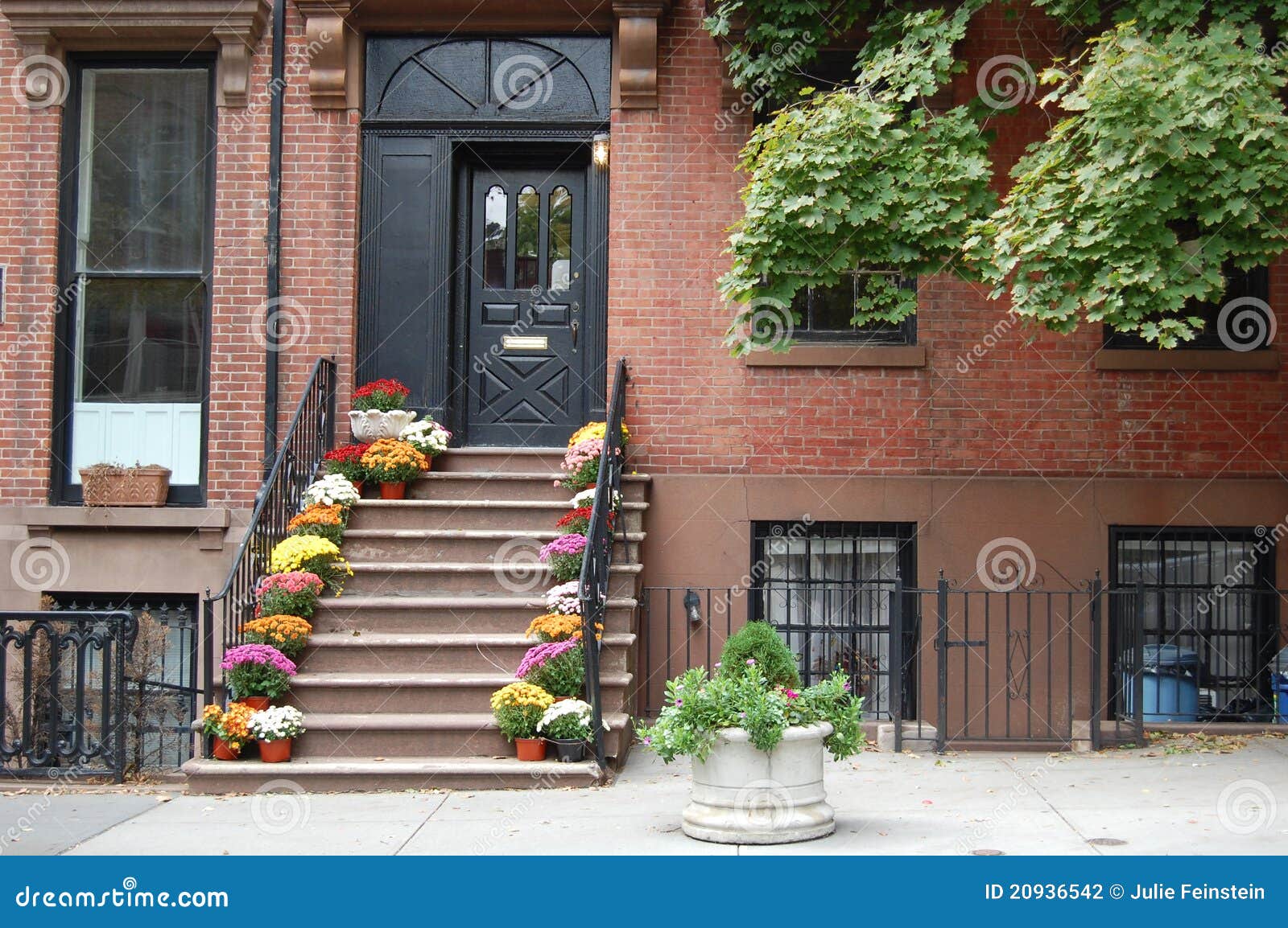Brooklyn Home stock photo. Image of sight, pleasant, sights - 20936542