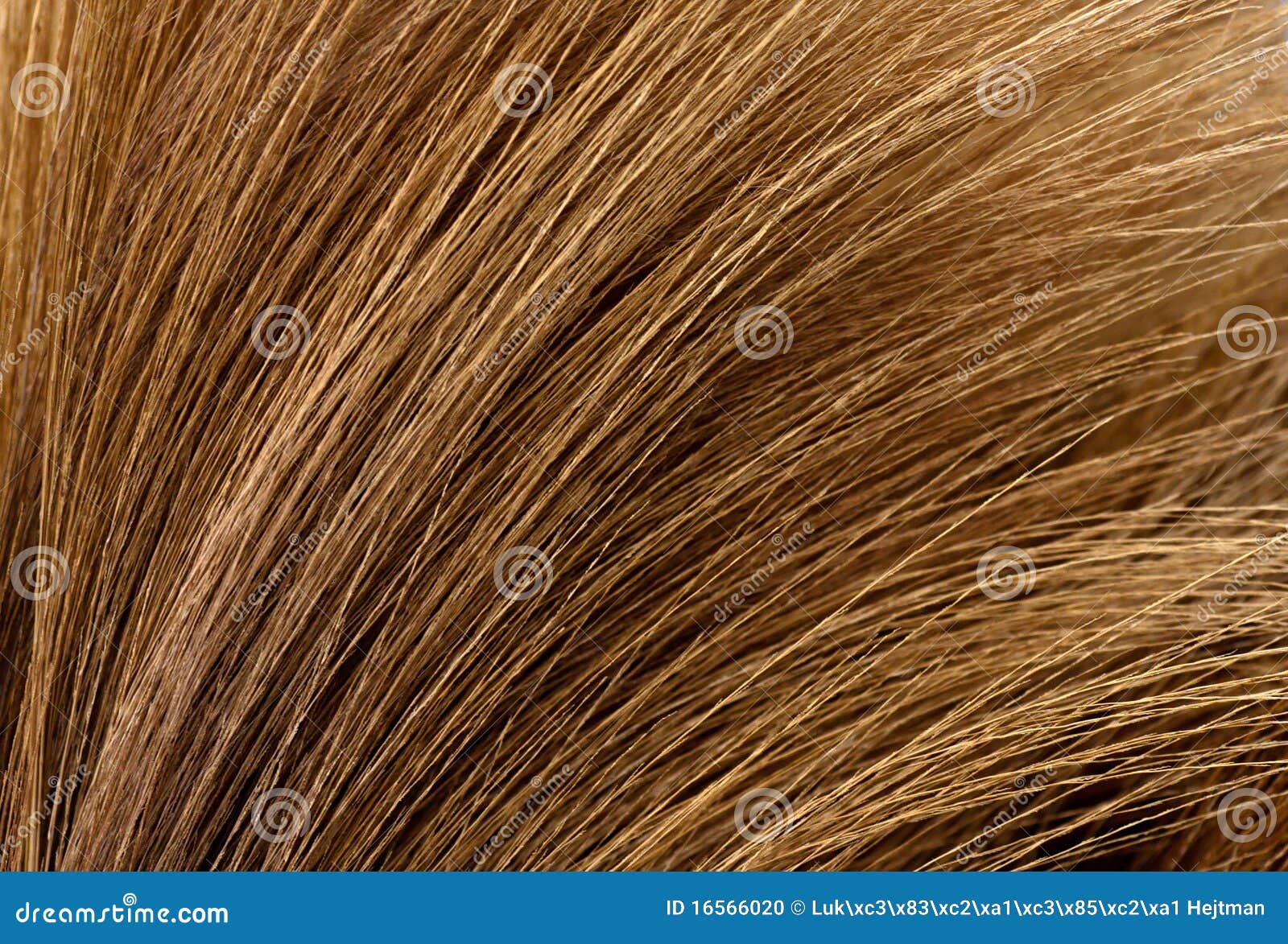 Broom background stock photo. Image of broom, detail - 16566020