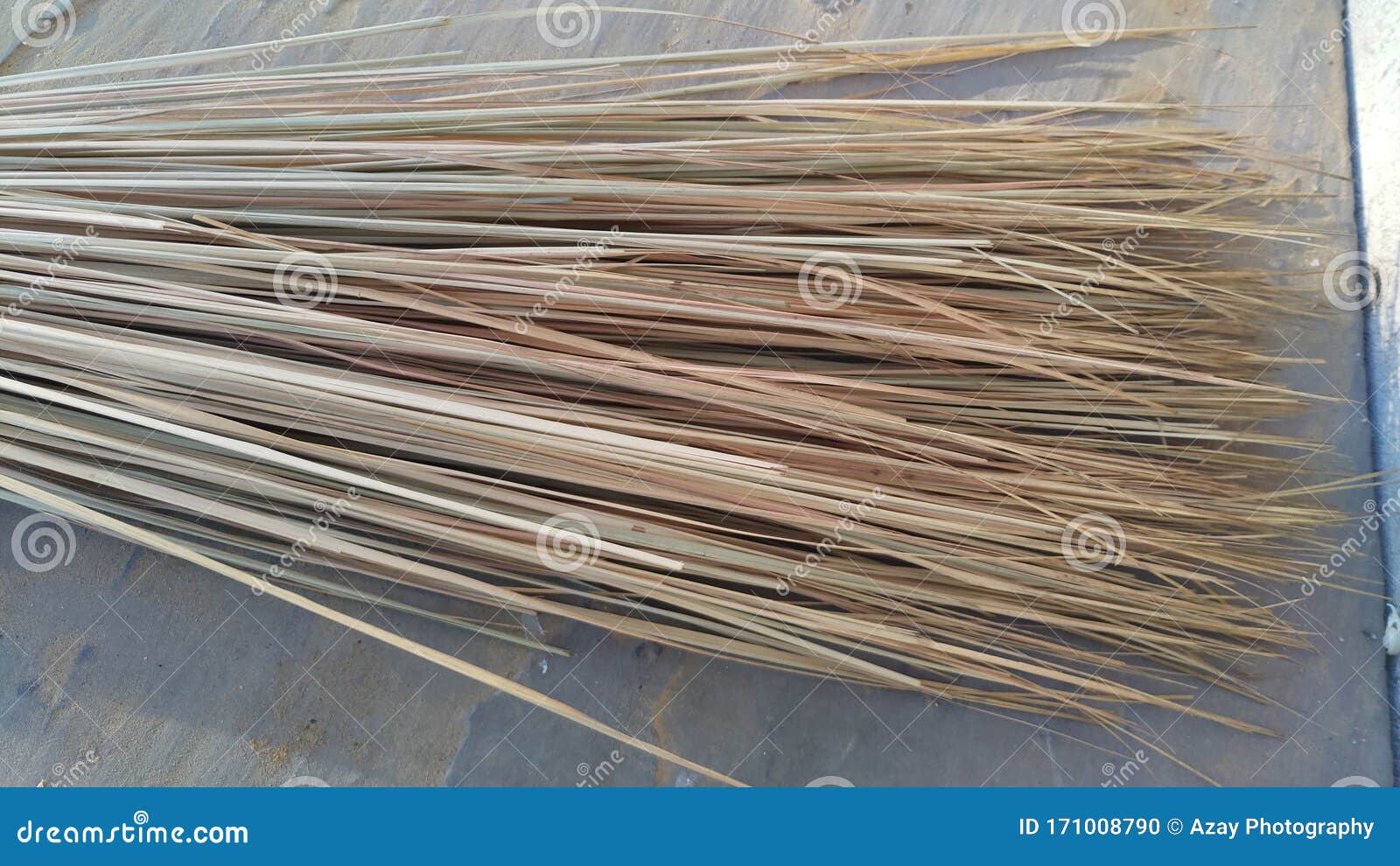 Broom In The Coconut Tree Is A Broom Made From The Petioles Of The ...