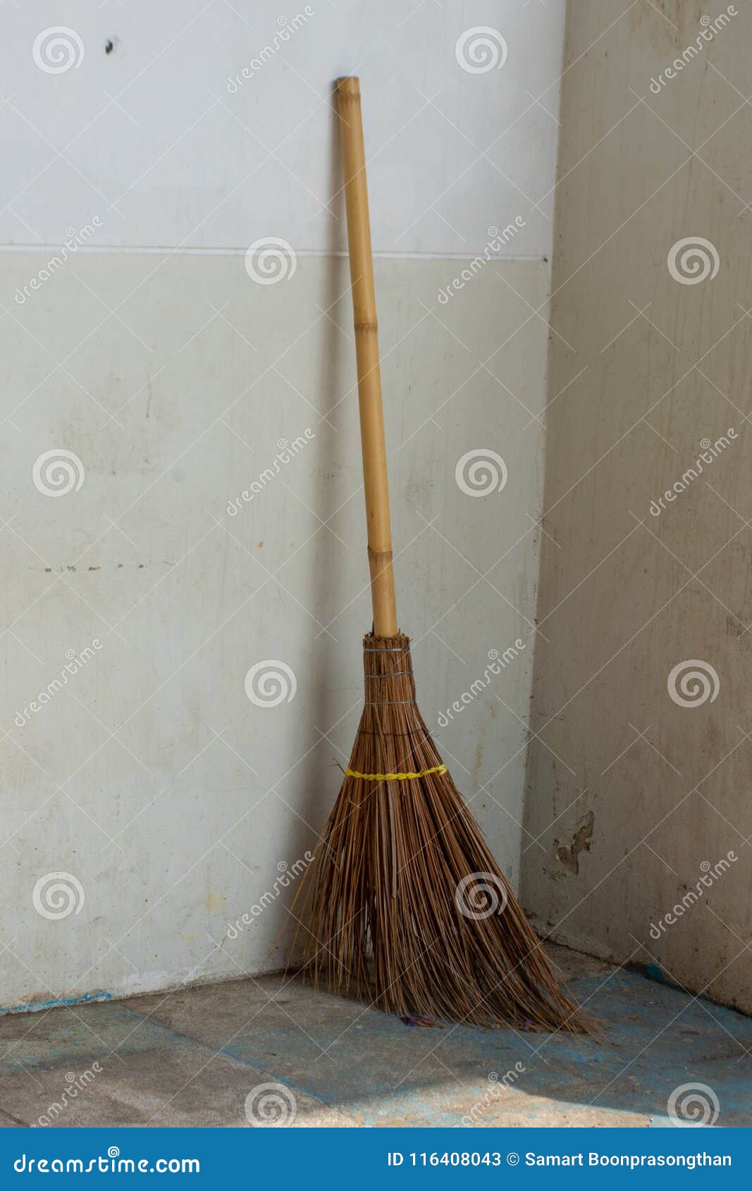 Broom In The Coconut Tree Is A Broom Made From The Petioles Of The ...