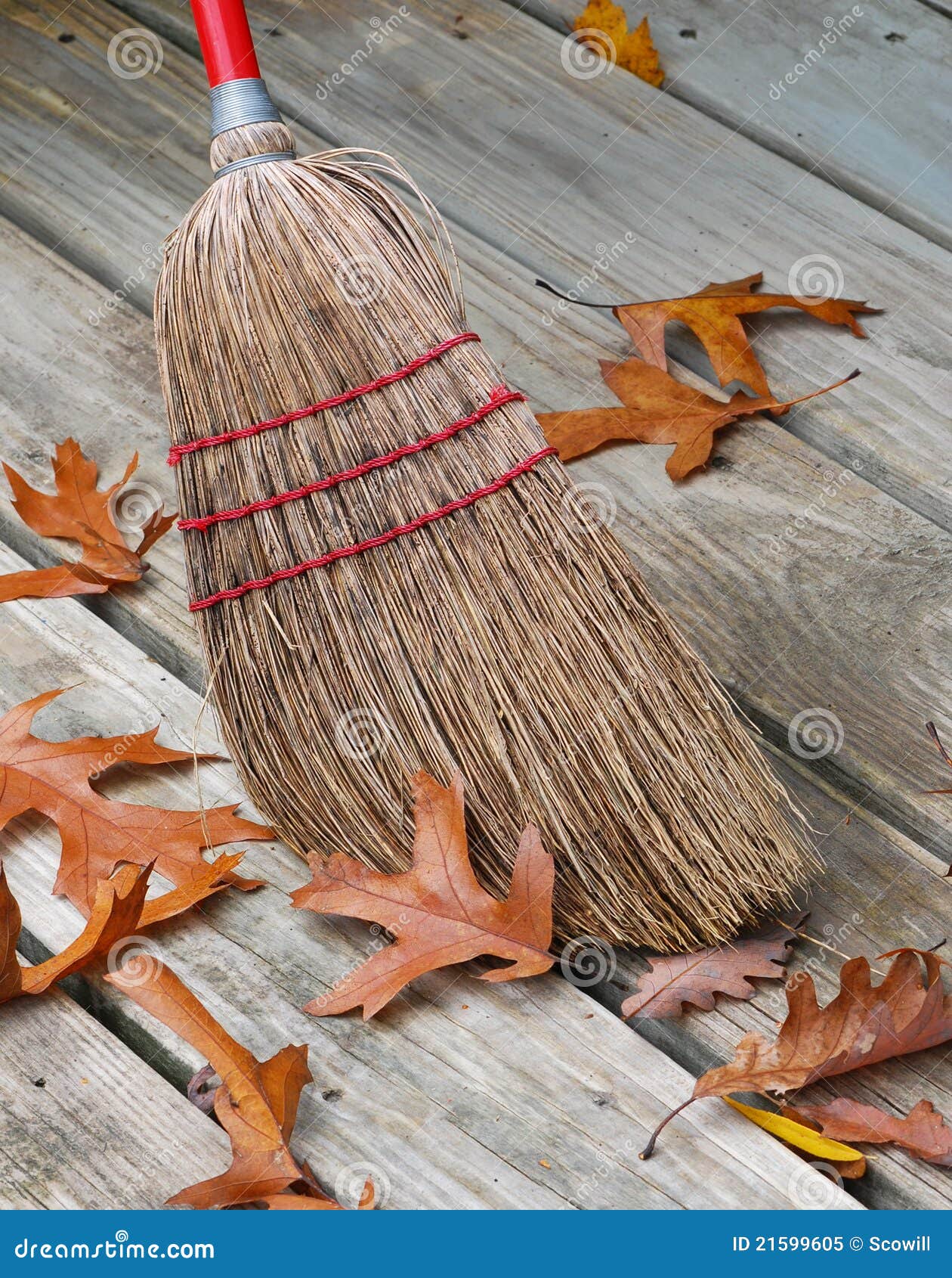 Broom and Fallen Leafs stock image. Image of broom, october - 21599605