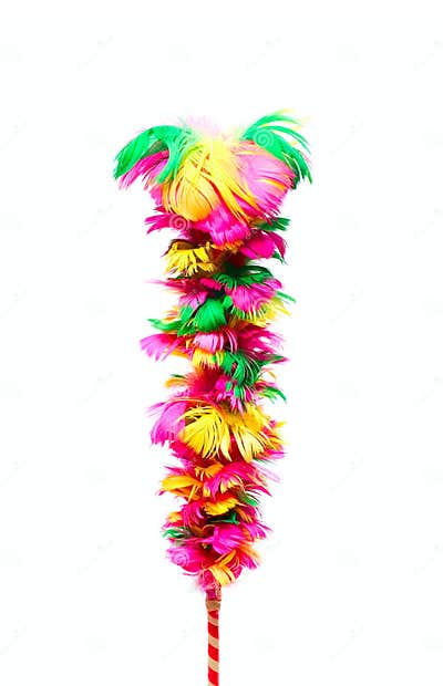 Broom from feathers stock photo. Image of soap, swab, cloth - 7443298