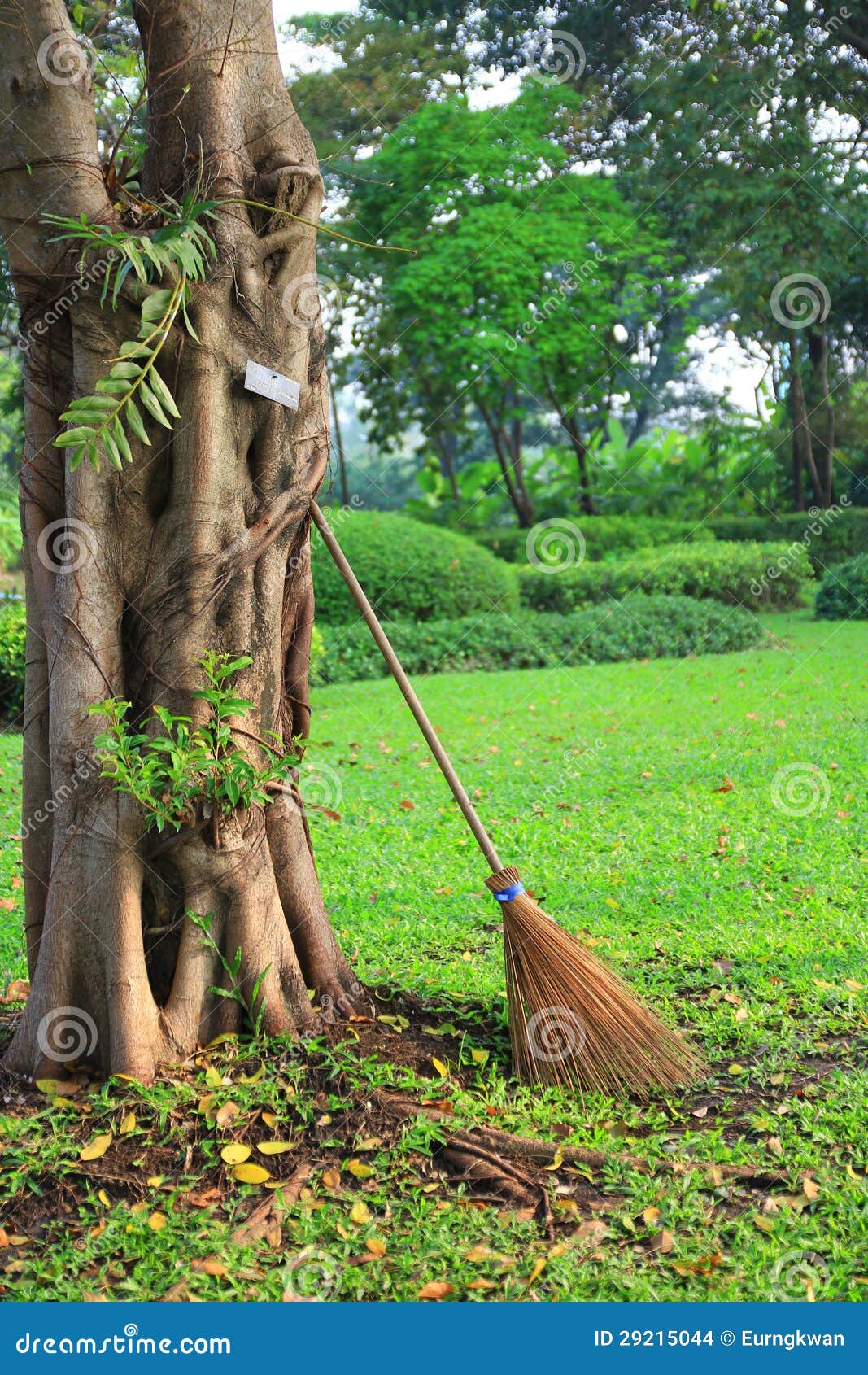 Broom leans against tree stock photo. Image of rustic - 29215044