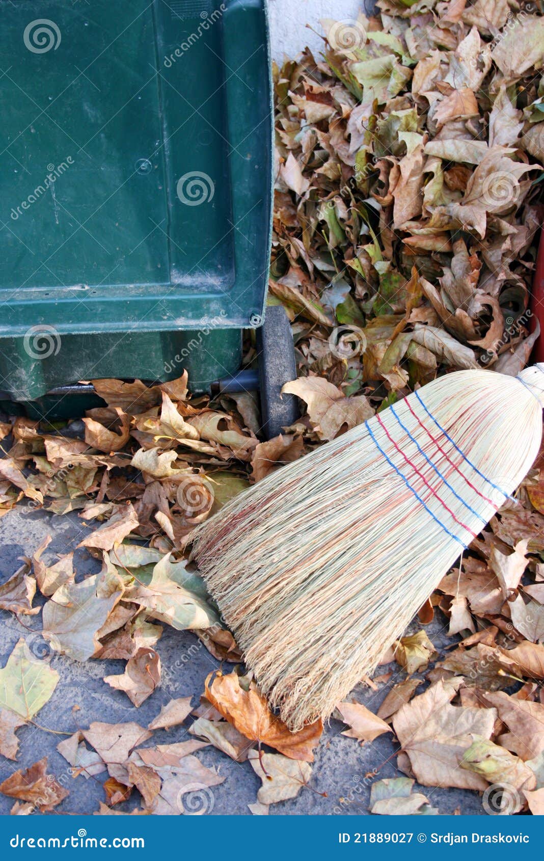 Broom leaves and bin stock image. Image of clean, broom - 21889027