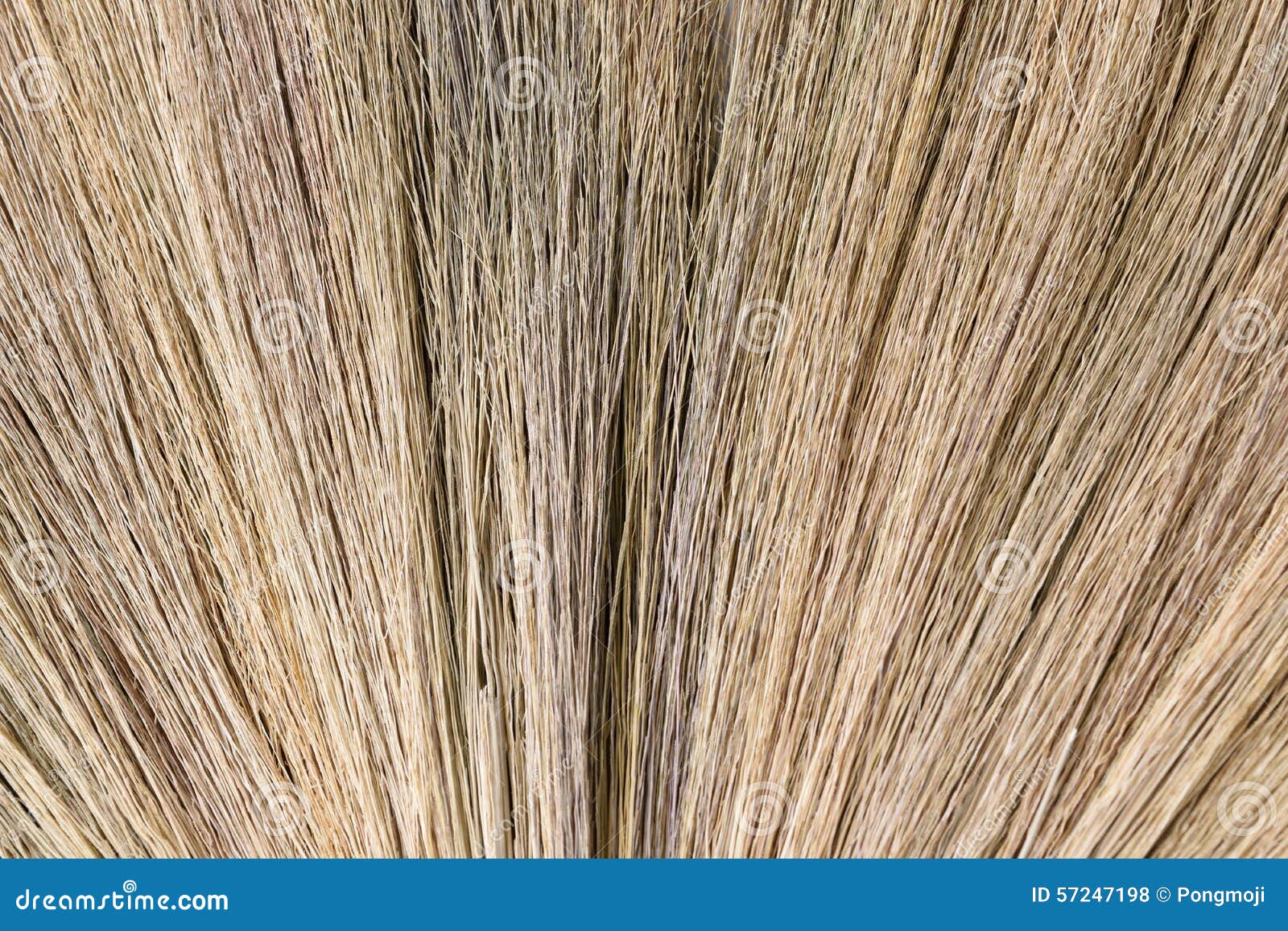 Broom texture stock photo. Image of decorative, nature - 57247198
