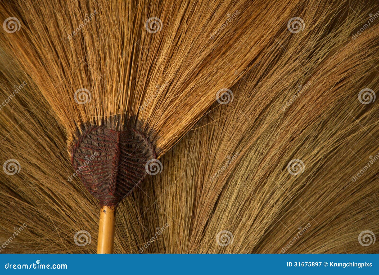 Broom texture stock image. Image of backdrop, nature - 31675897