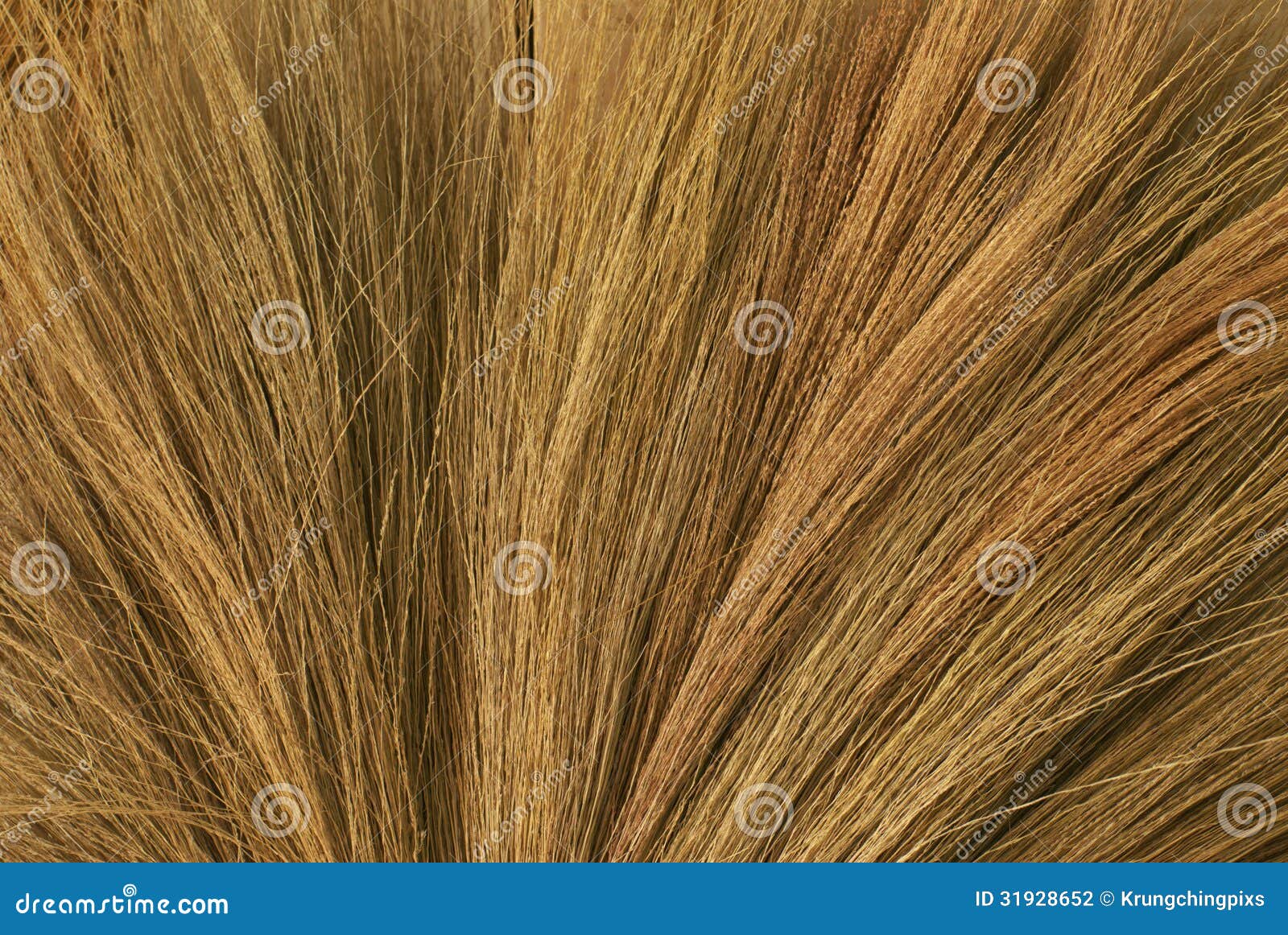 Broom texture stock photo. Image of slim, bright, broom - 31928652