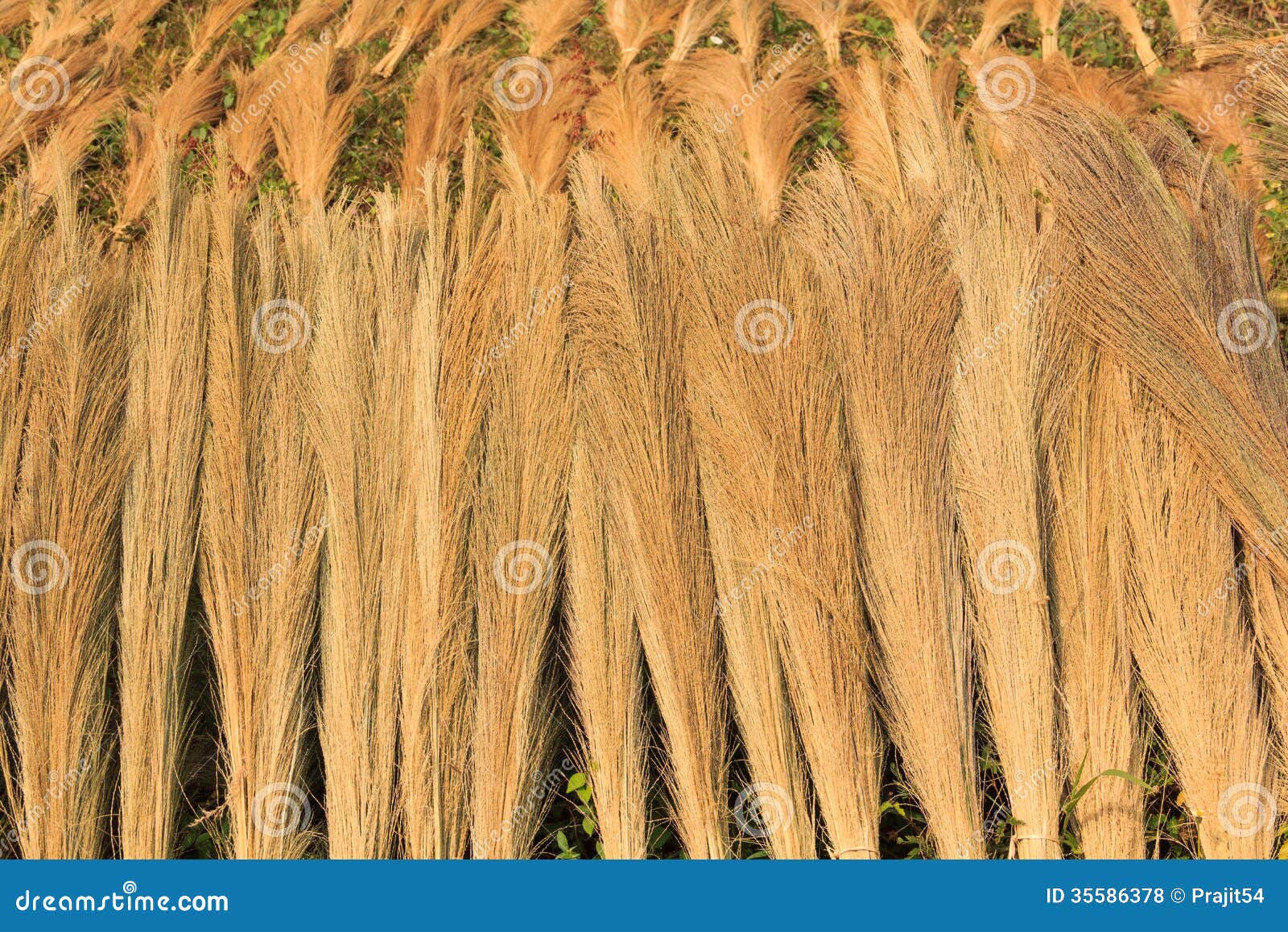Broom texture stock photo. Image of broomstick, handmade - 35586378