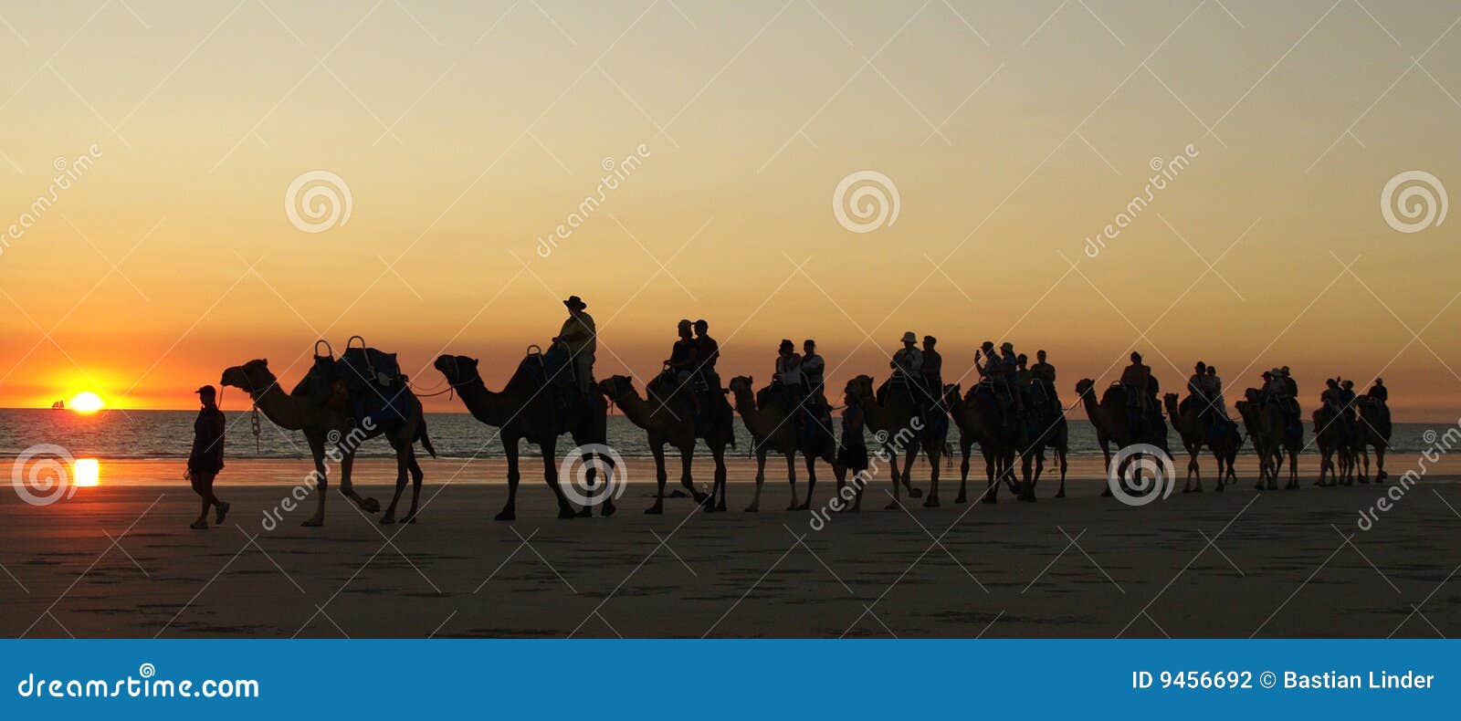Broome Camel Sunset stock photo. Image of ocean, australia - 9456692