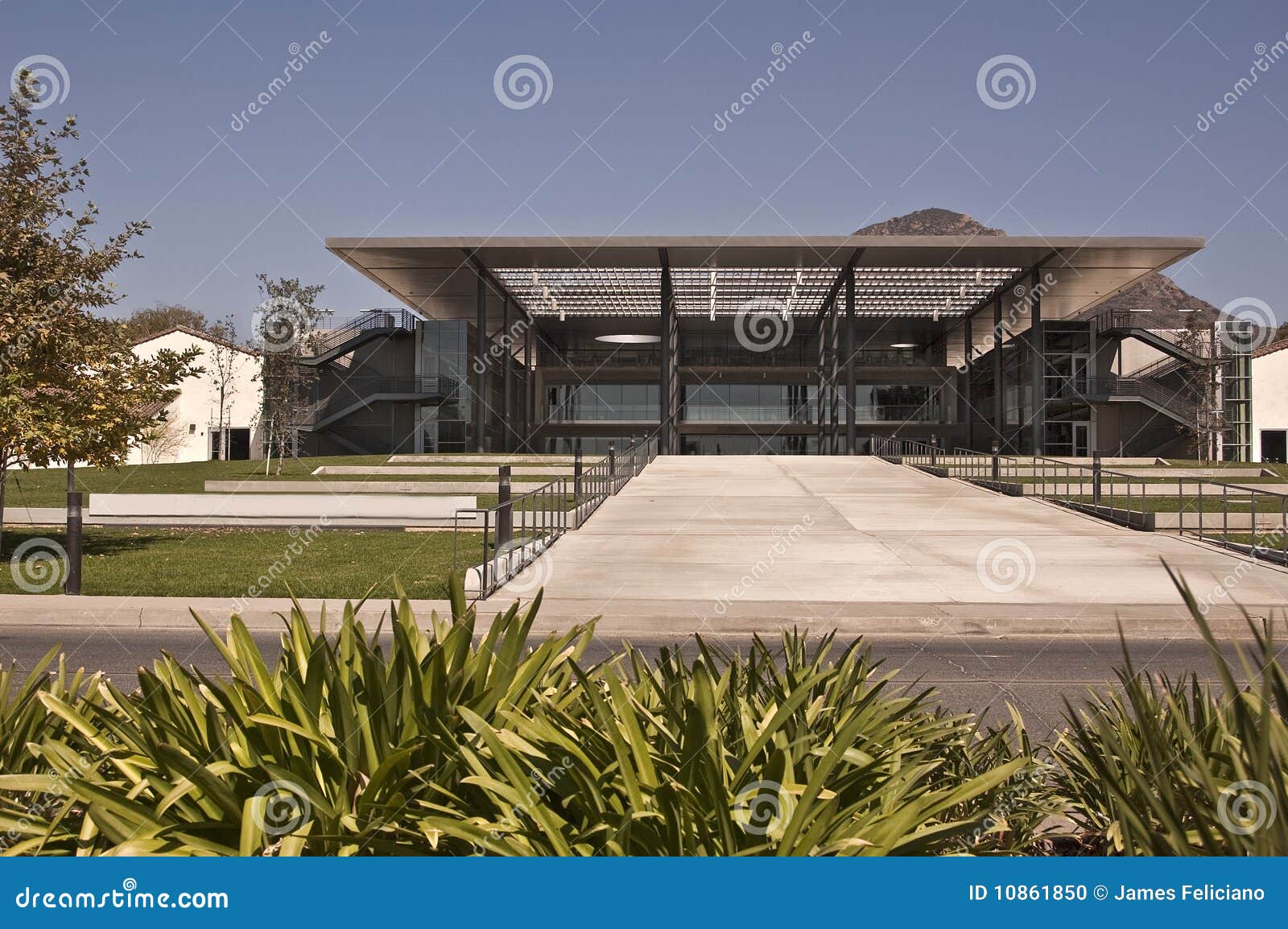 Broome Library Stock Photography | CartoonDealer.com #10861850