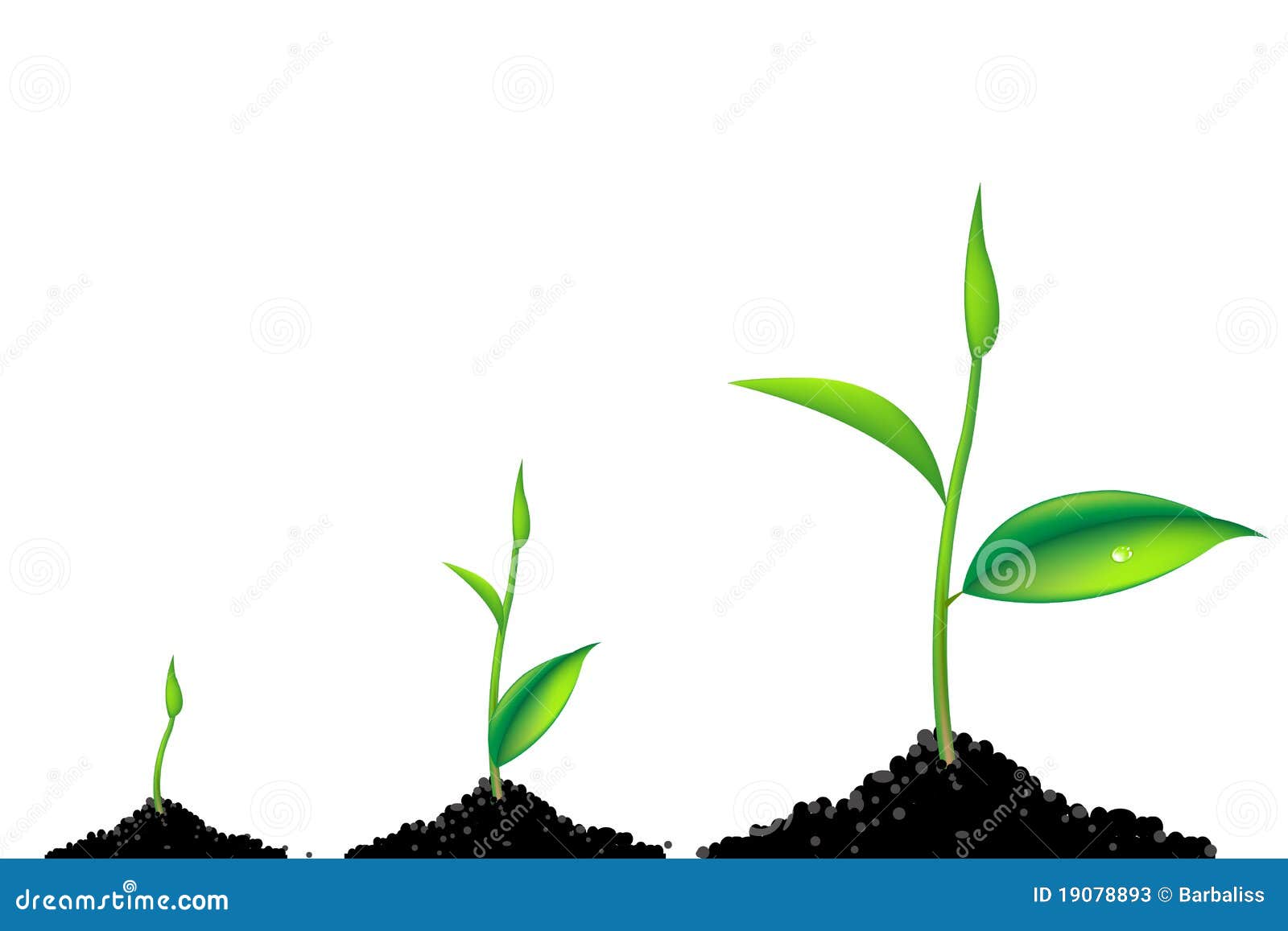 Brotes ilustración del vector. Ilustración de campo, nuevo - 19078893