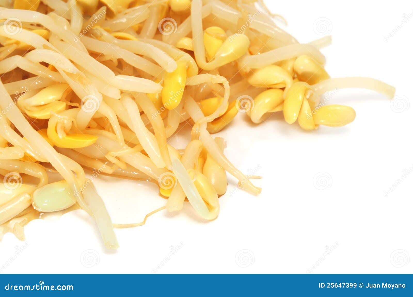 Brotes de la soja imagen de archivo. Imagen de dieta - 25647399