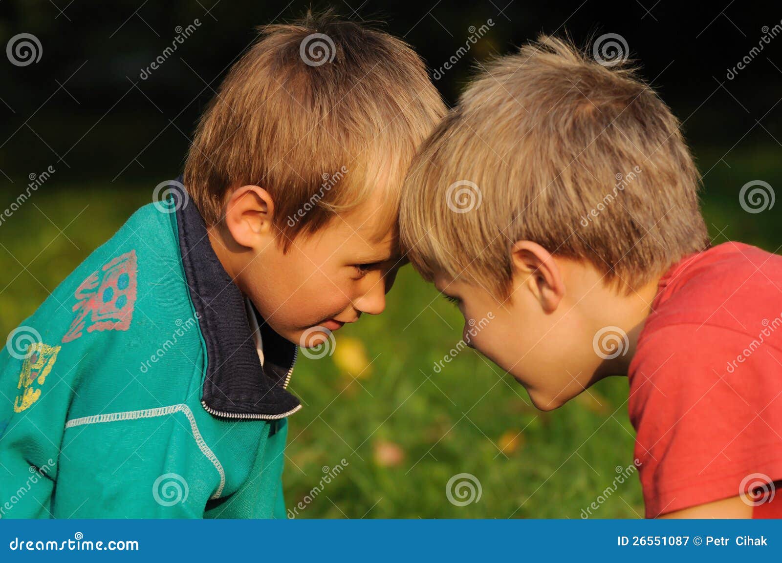 Brother rivalry stock image. Image of strike, struggle - 26551087