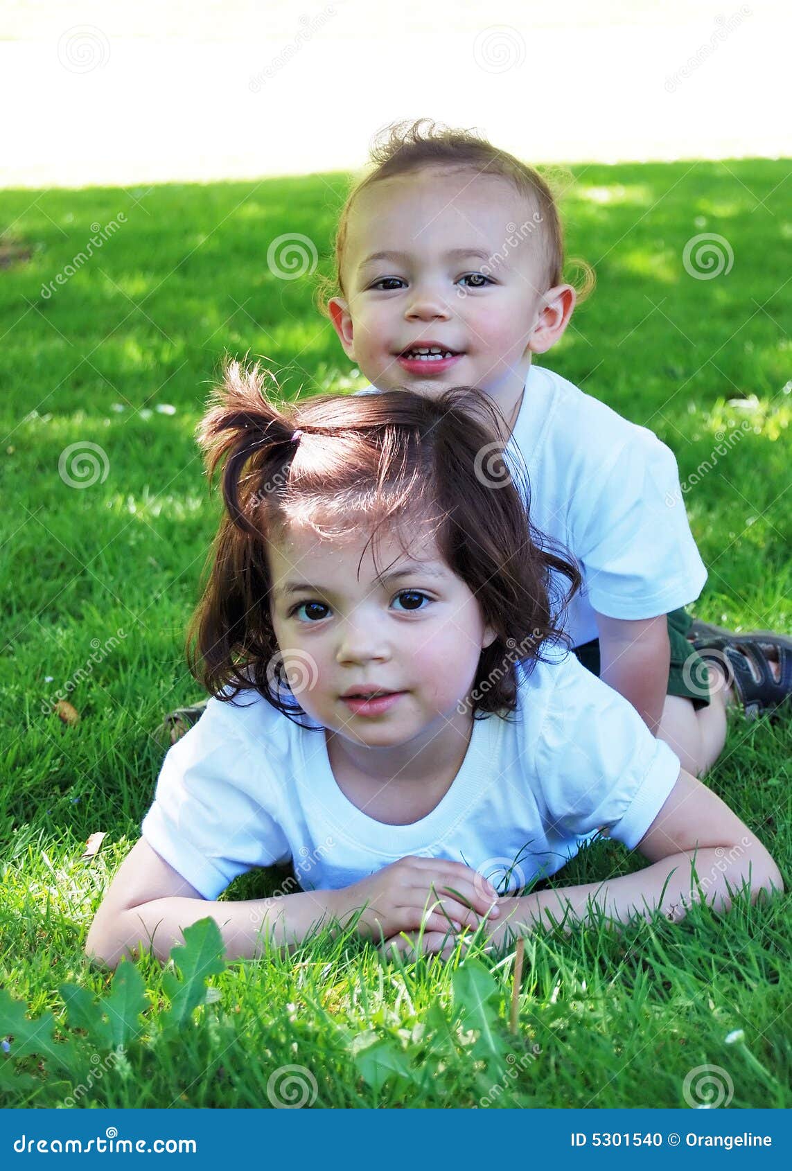 Brother and Sister stock photo. Image of adorable, siblings - 5301540