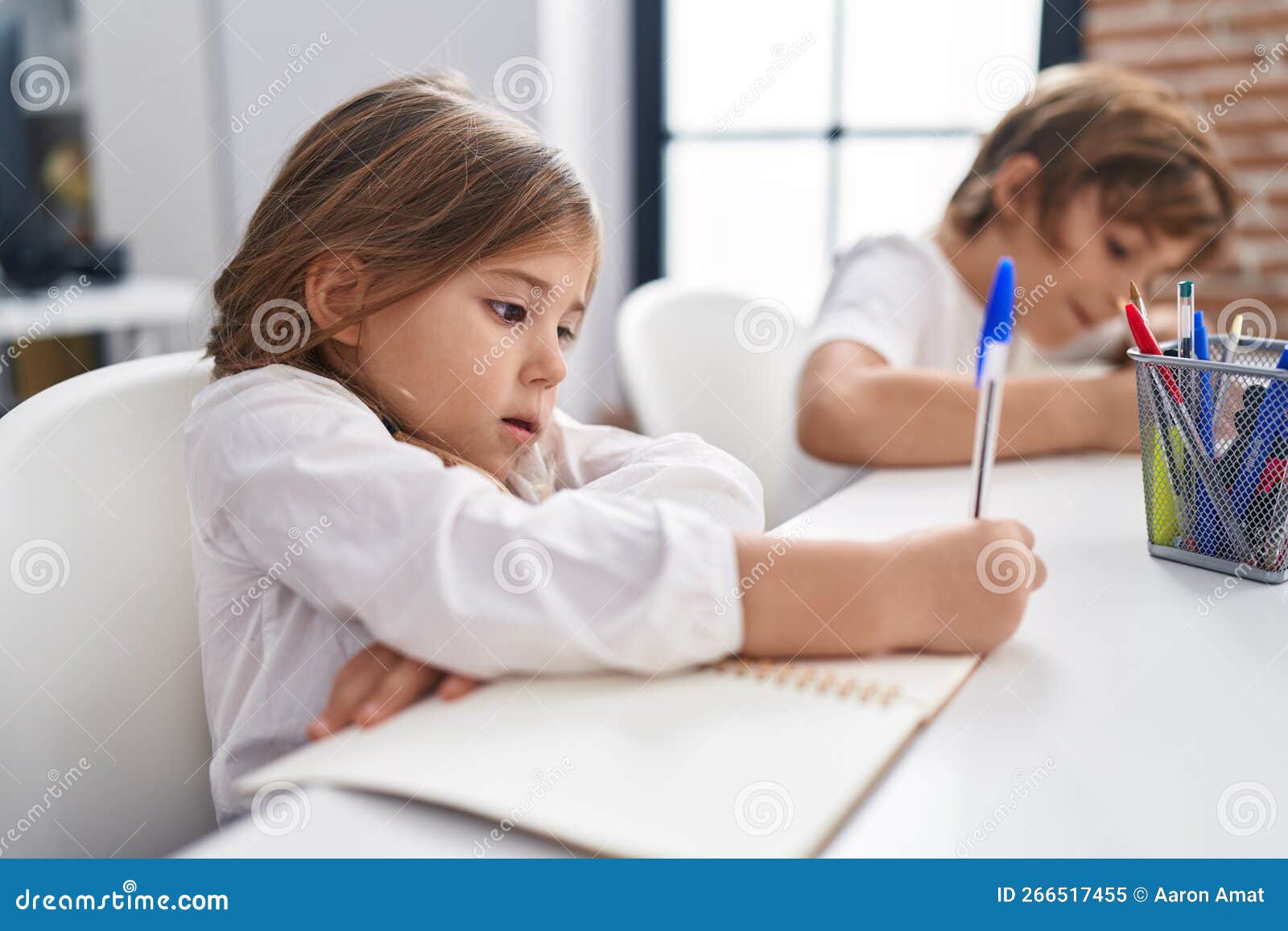 Brother and Sister Students Writing on Notebook Studying at Classroom ...