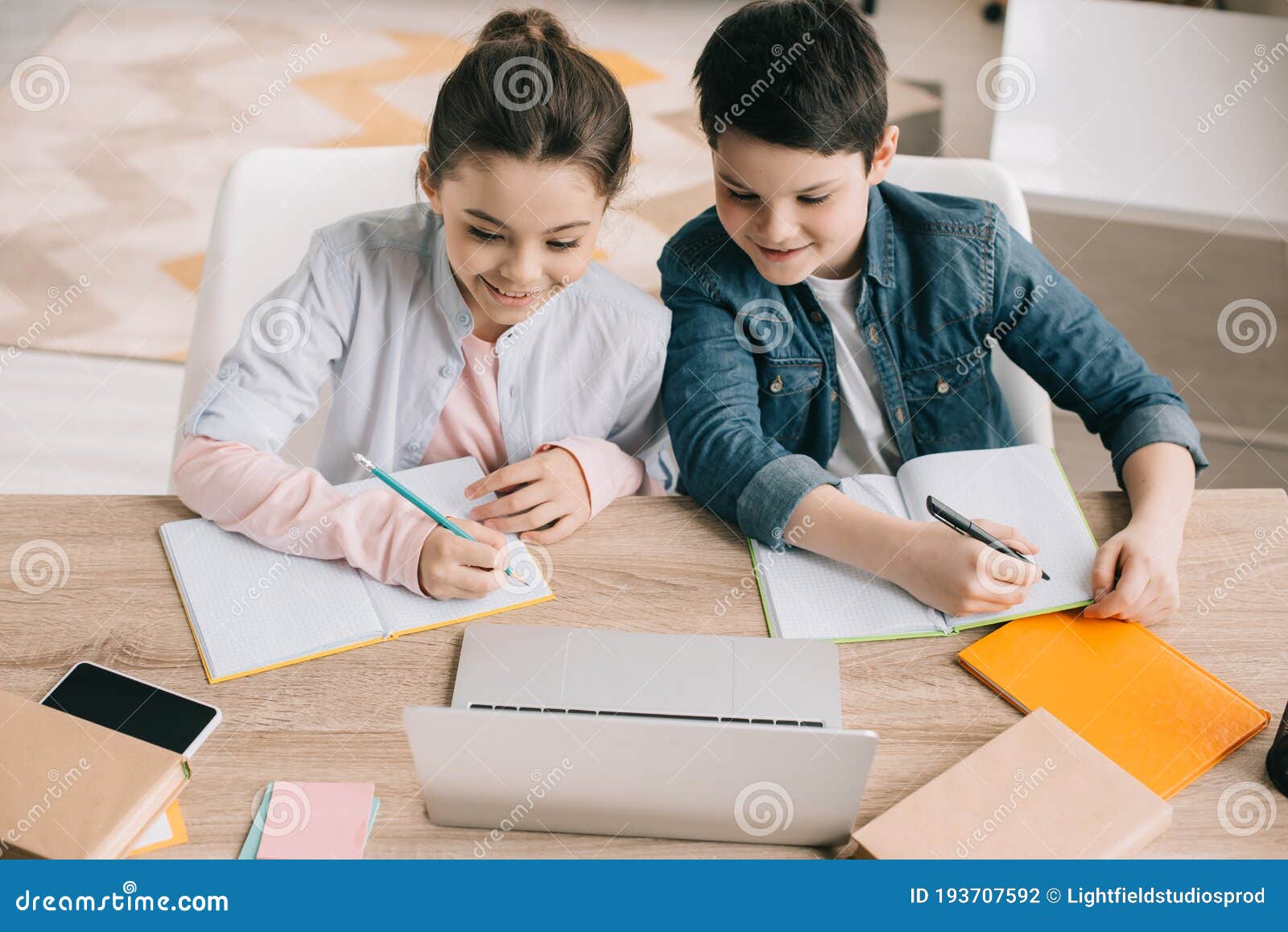 Brother and Sister Writing in Notebooks and Using Laptop Together Stock ...