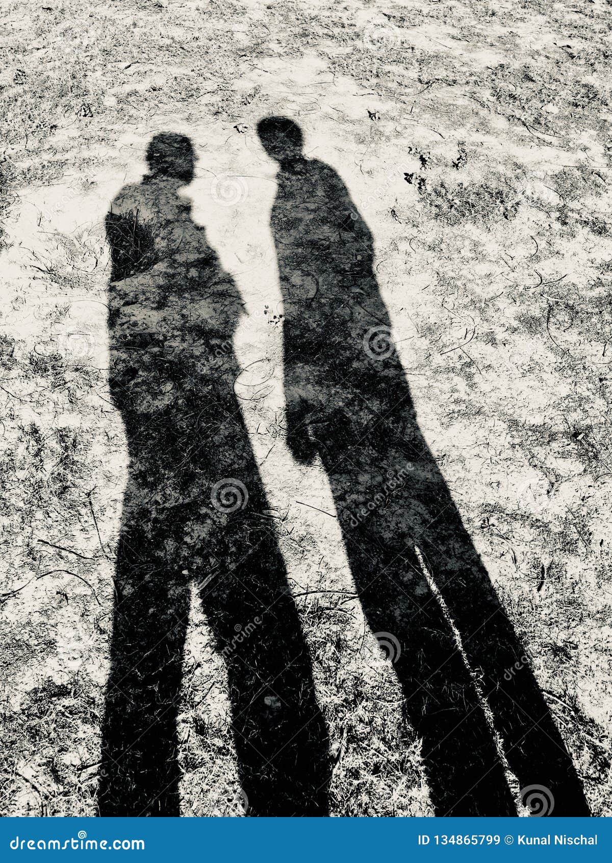 Brotherhood stock image. Image of brotherhood, friendship - 134865799