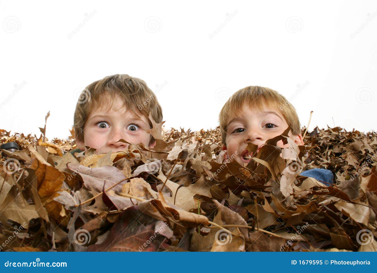 Brothers stock image. Image of sibling, american, years - 1679595