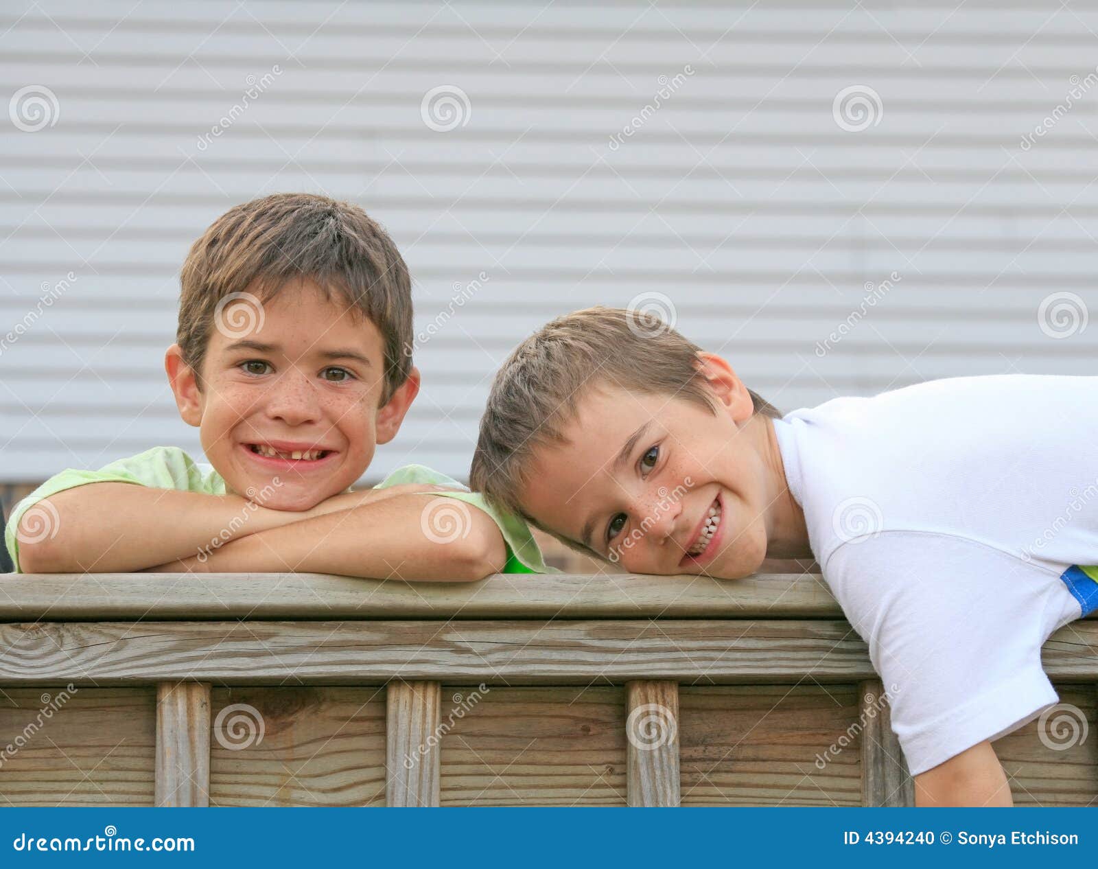 Brothers Playing Around stock photo. Image of domestic - 4394240
