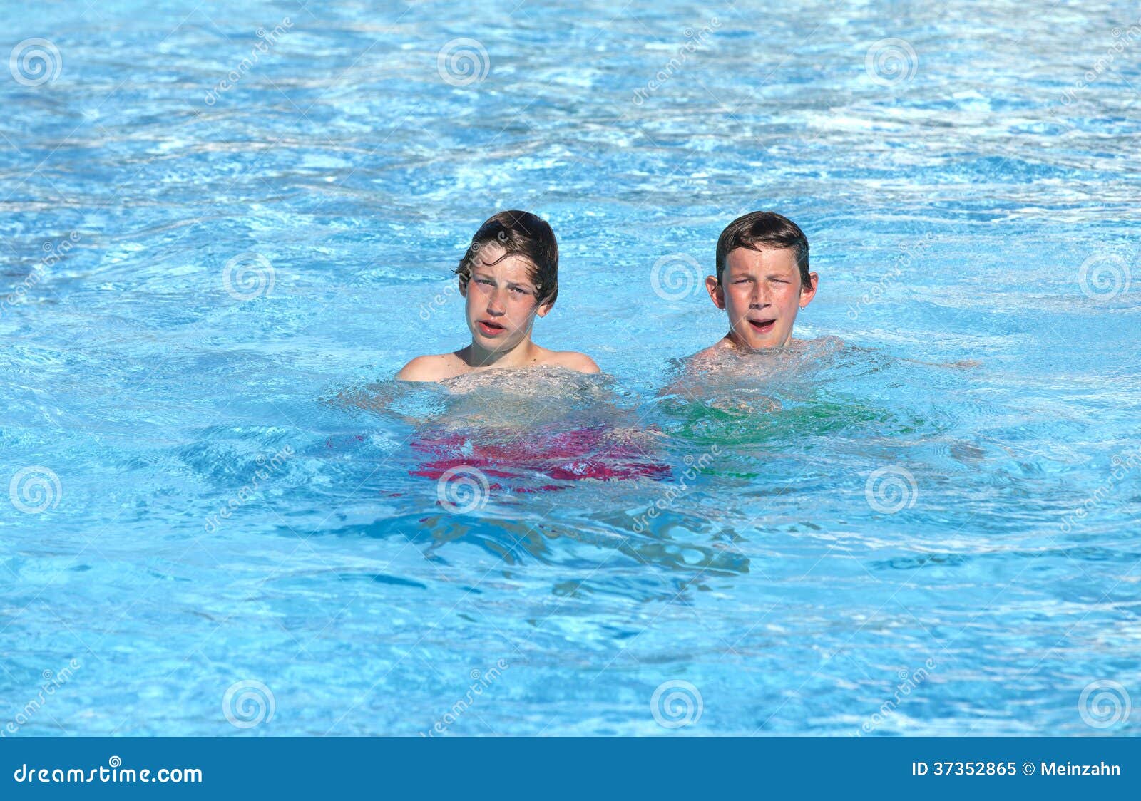 Brothers Playing Together in the Pool Stock Image - Image of breast ...
