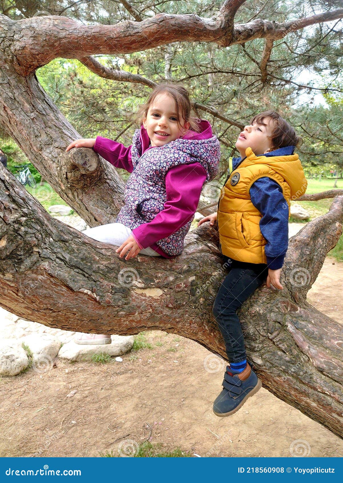 Brothers In A Tree Royalty-Free Stock Photography | CartoonDealer.com ...