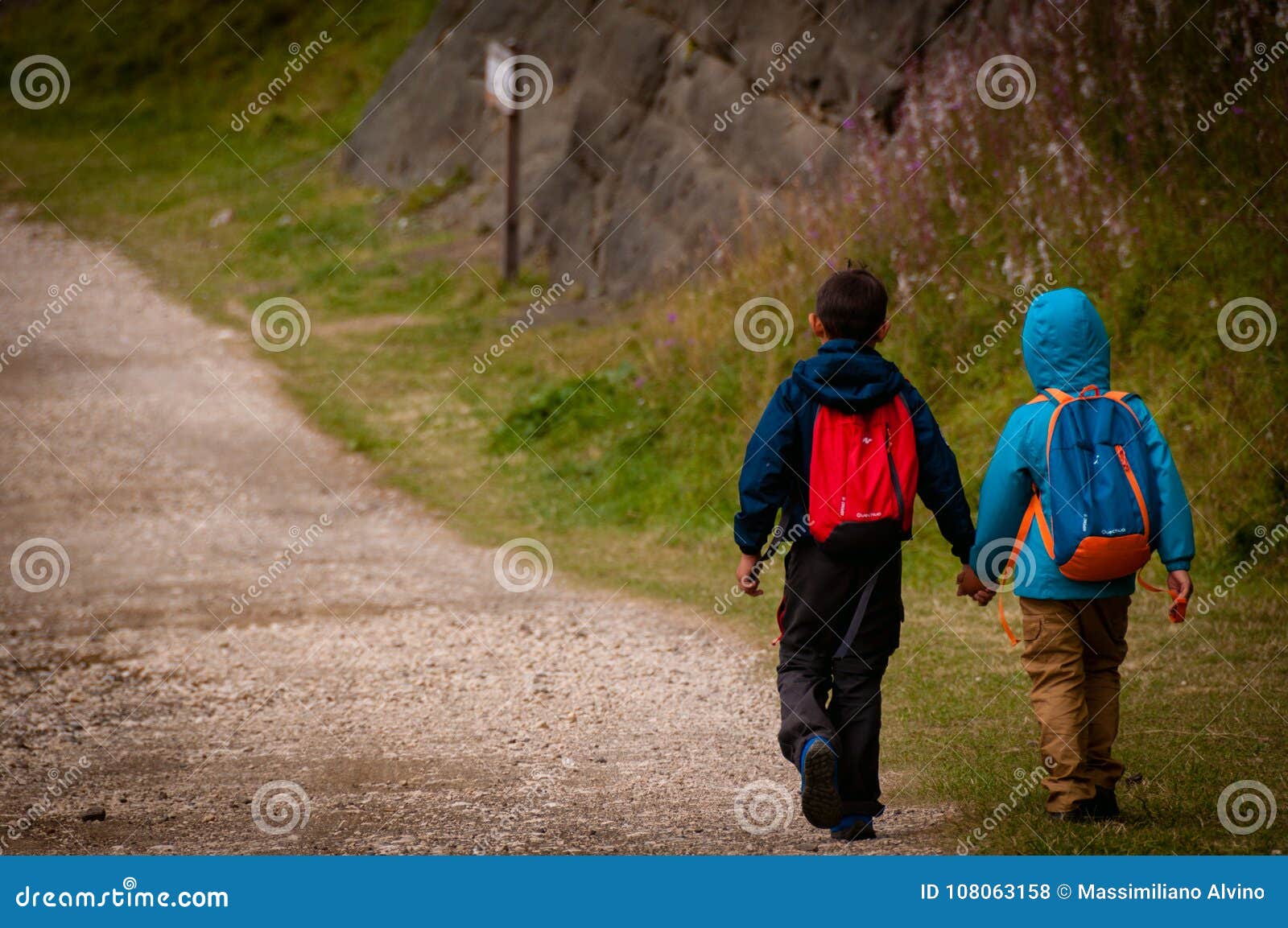Brothers walking together editorial stock photo. Image of teen - 108063158