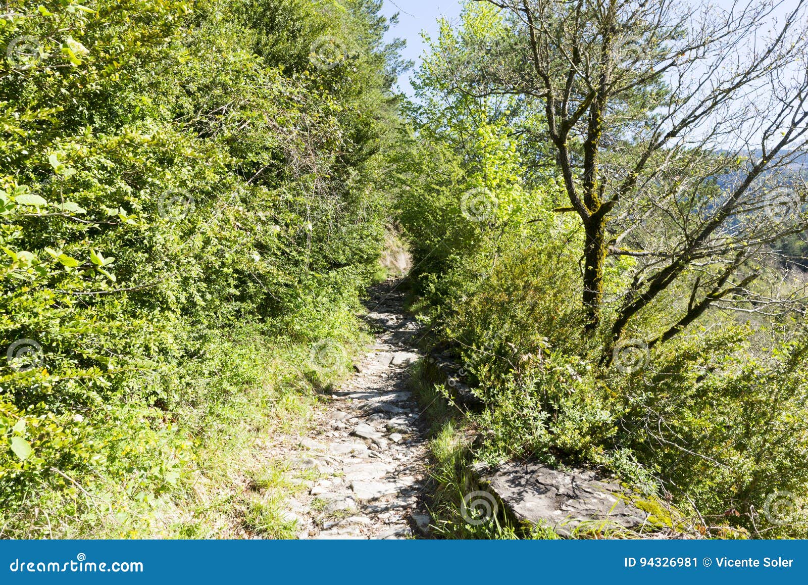 Broto landscape stock image. Image of national, park - 94326981