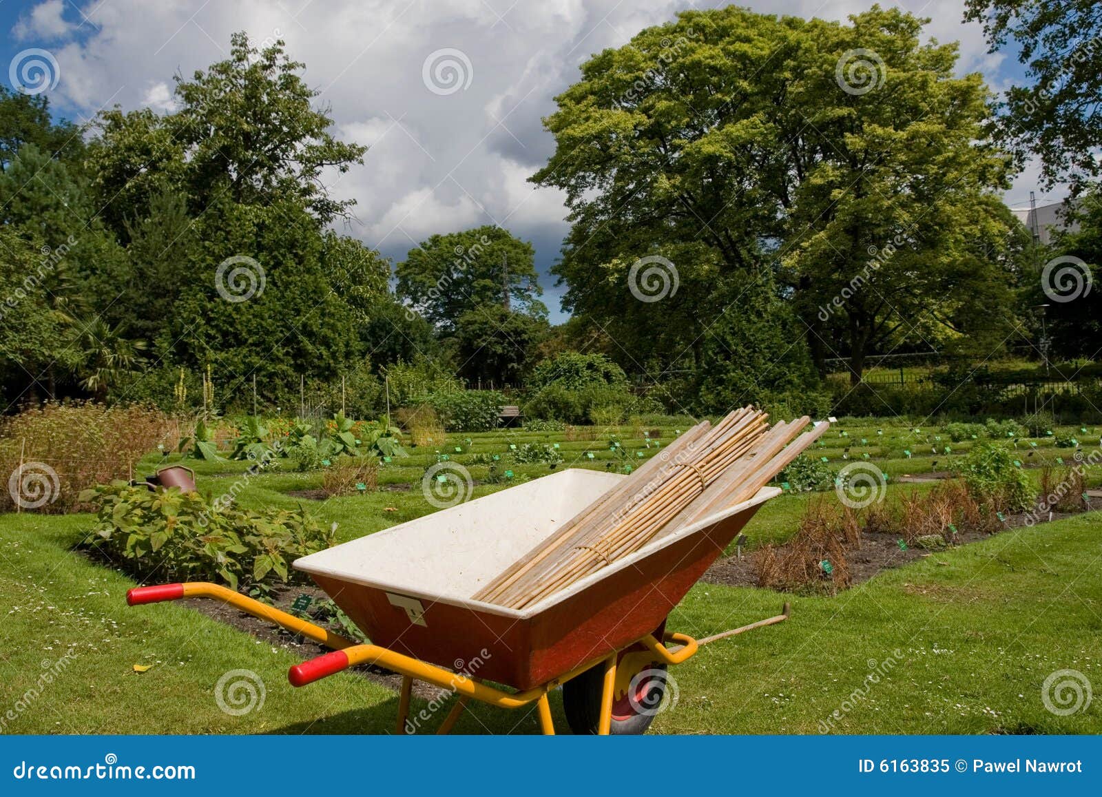 Brouette image stock. Image du brouette, herbe, vert, jardin - 6163835
