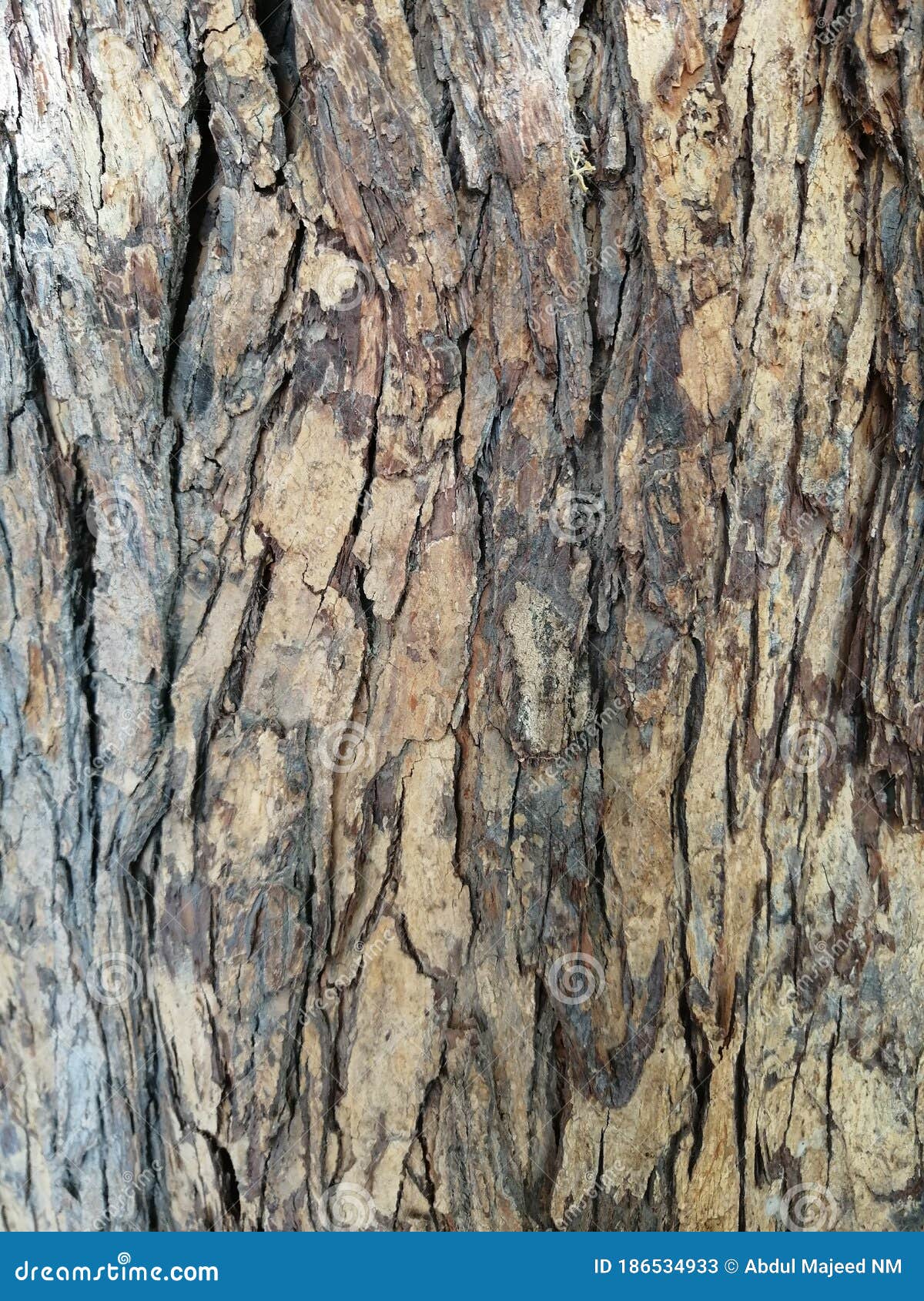 Broun black wodden pattern stock image. Image of twig - 186534933