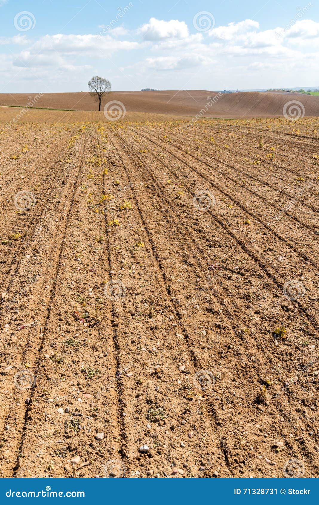 Brown abandoned field stock image. Image of yellow, land - 71328731