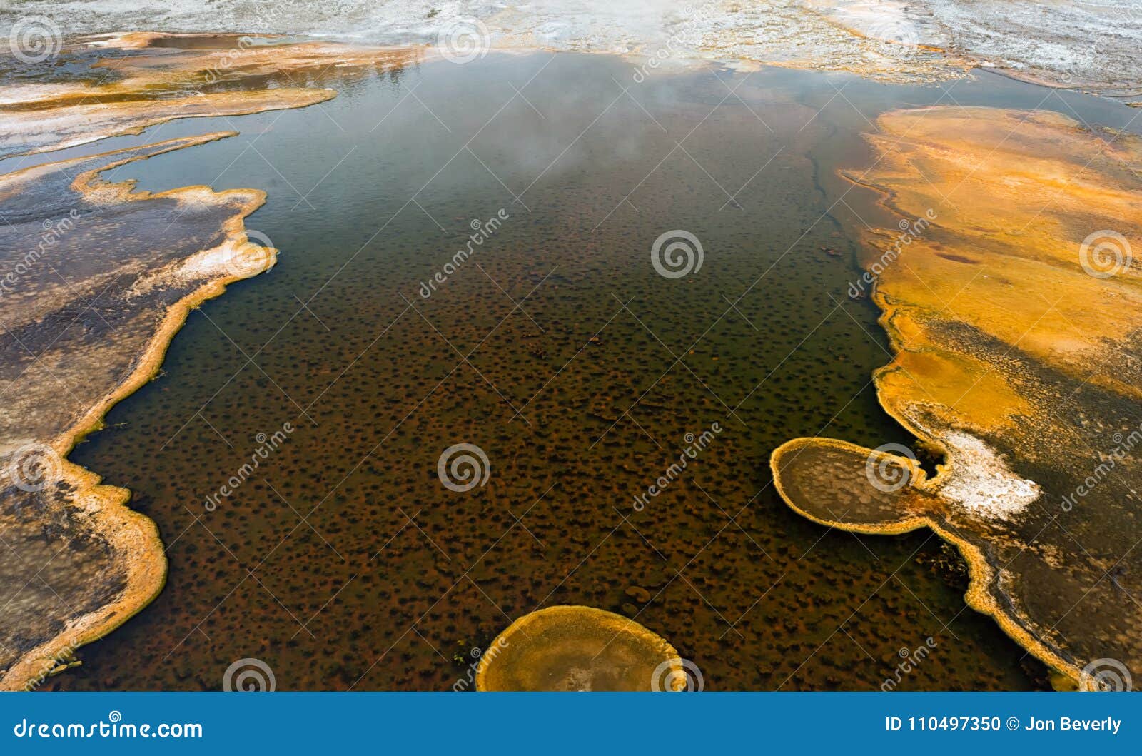 Brown pool of matted algae stock photo. Image of outline - 110497350